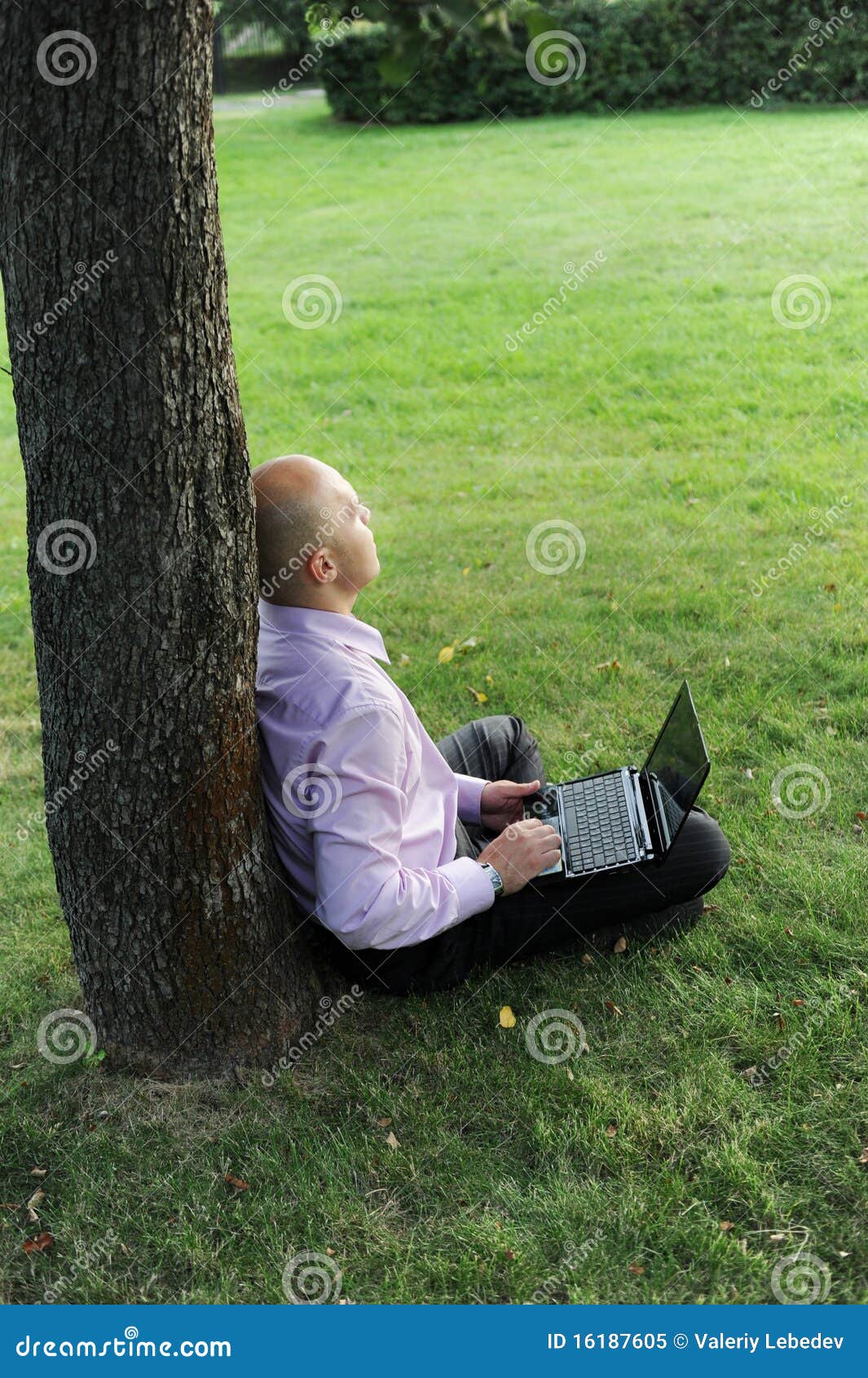 Man with Laptop Sitting Near a Tree Stock Image - Image of computer ...