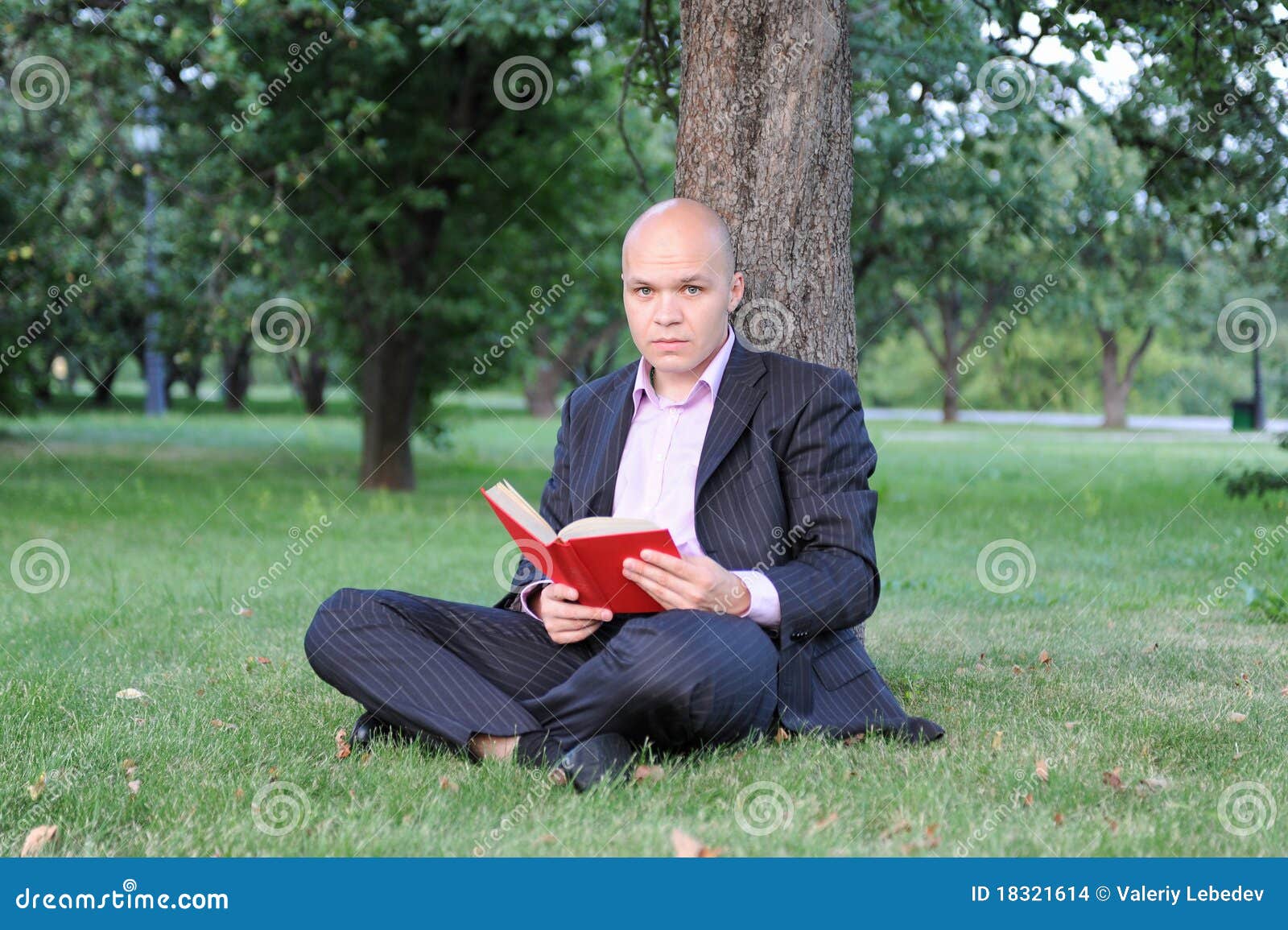 Man with Laptop Sitting Near a Tree Stock Photo - Image of green ...