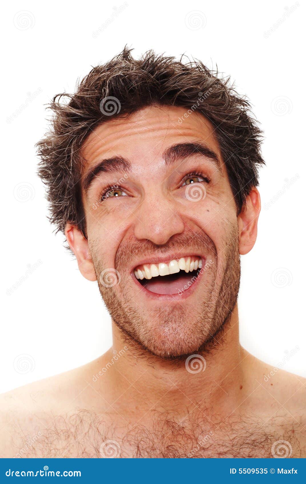 Man laughing stock image. Image of laughing, laugh, teeth - 5509535