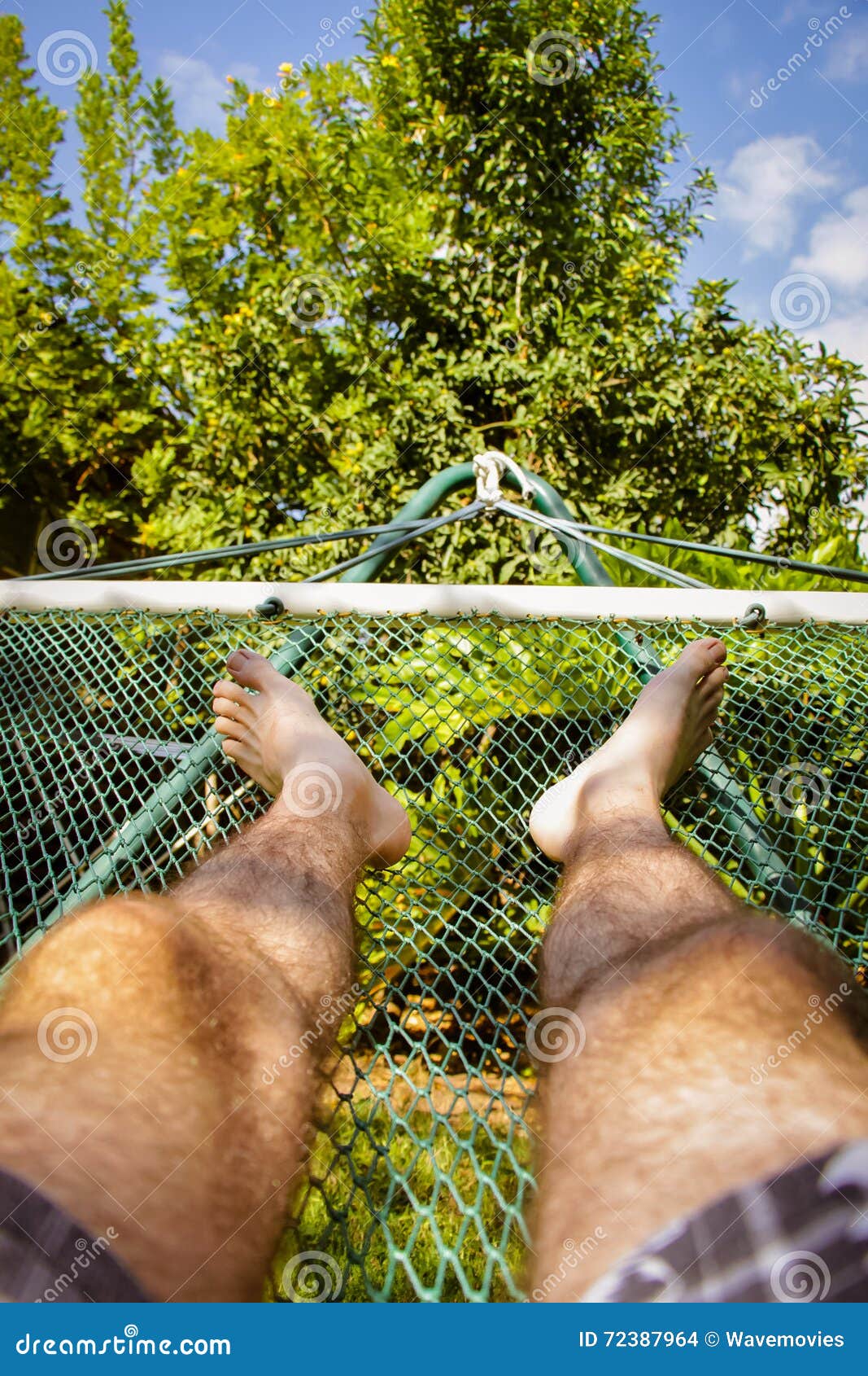 Man Laying in Hammock on a Summer Day Stock Photo - Image of pursuit ...