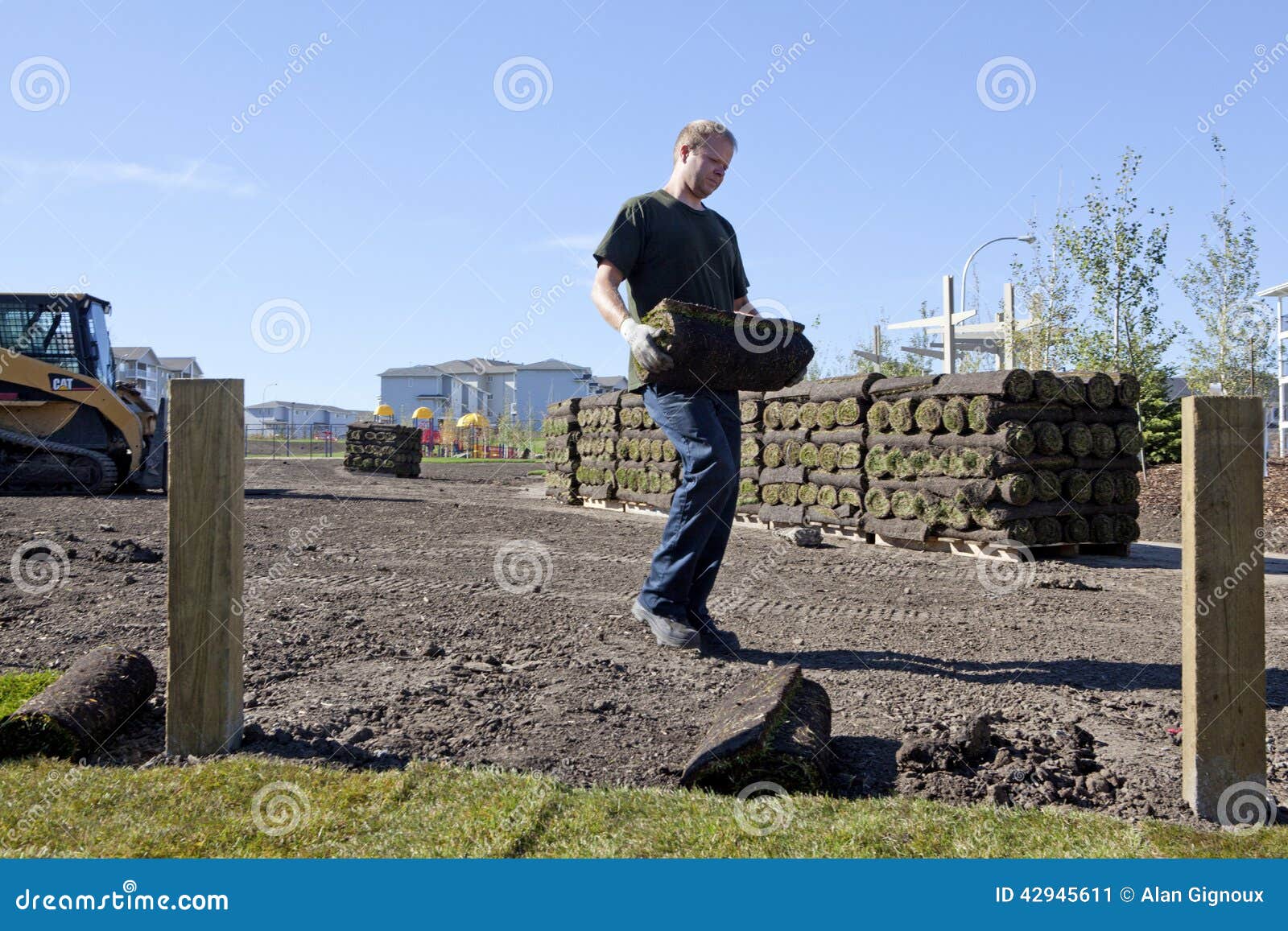 Man Laying Turf, Alberta, Canada Editorial Photo - Image of summit ...