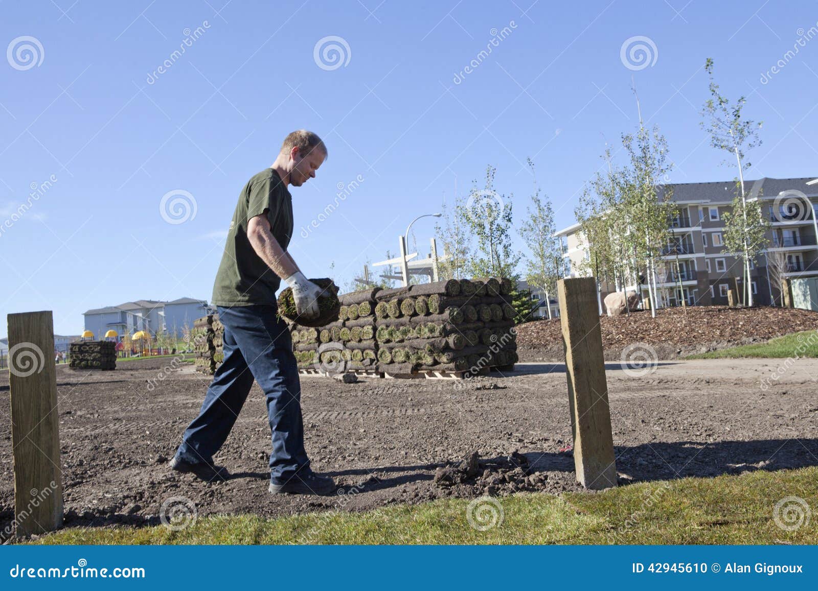 Man Laying Turf, Alberta, Canada Editorial Image - Image of summit ...