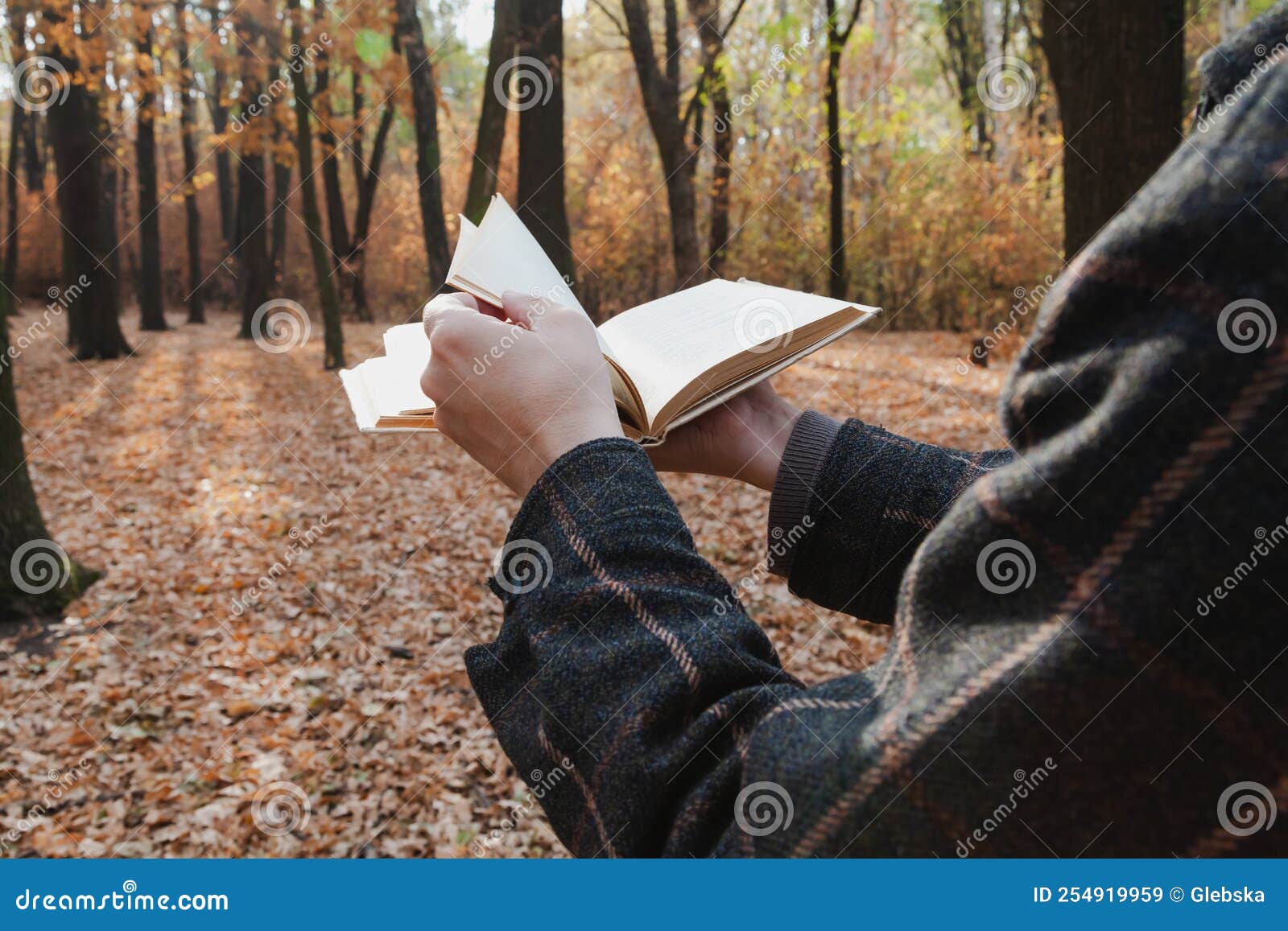 Man Leafing through Open Book in Forest Stock Image - Image of protects ...