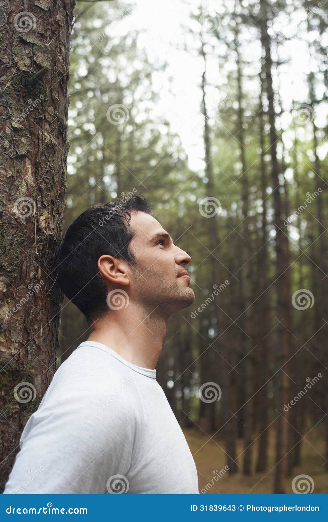 Man Leaning on Tree Trunk in Forest Stock Image - Image of solitude ...