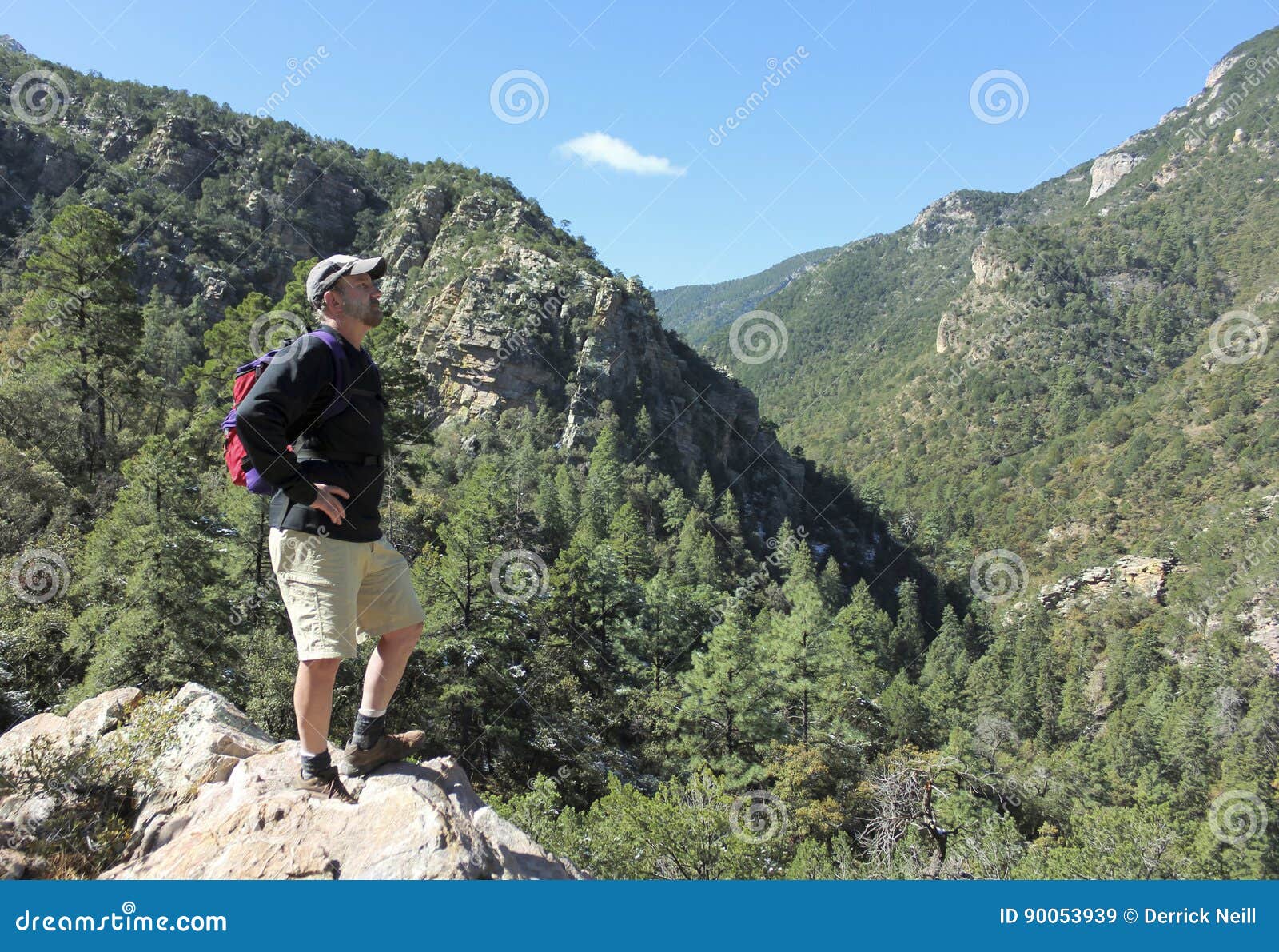 A Man on a Ledge Overlooking a Forest Stock Image - Image of outcrop ...