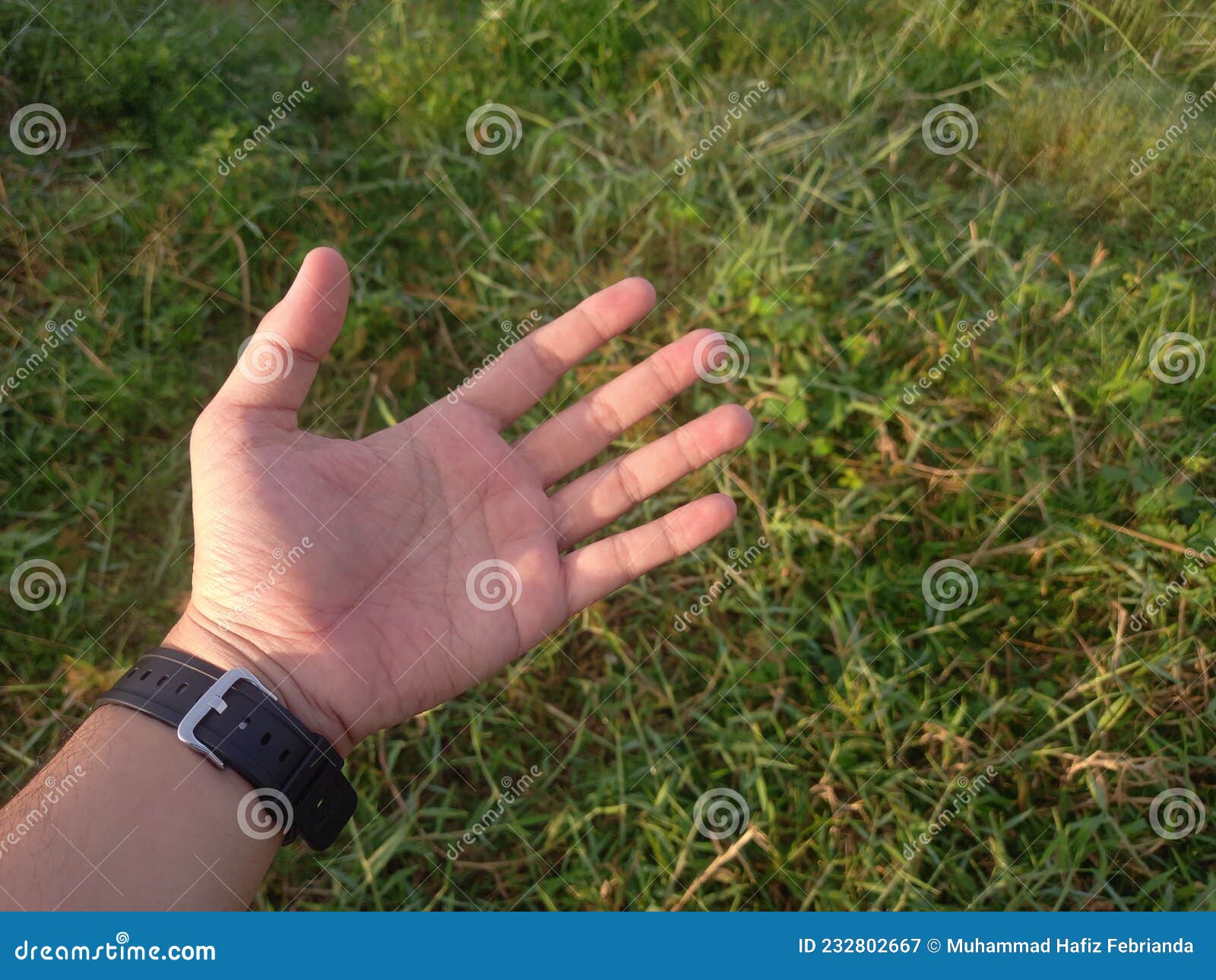 Man Left Hand Showing Five Fingers Stock Image - Image of communication ...