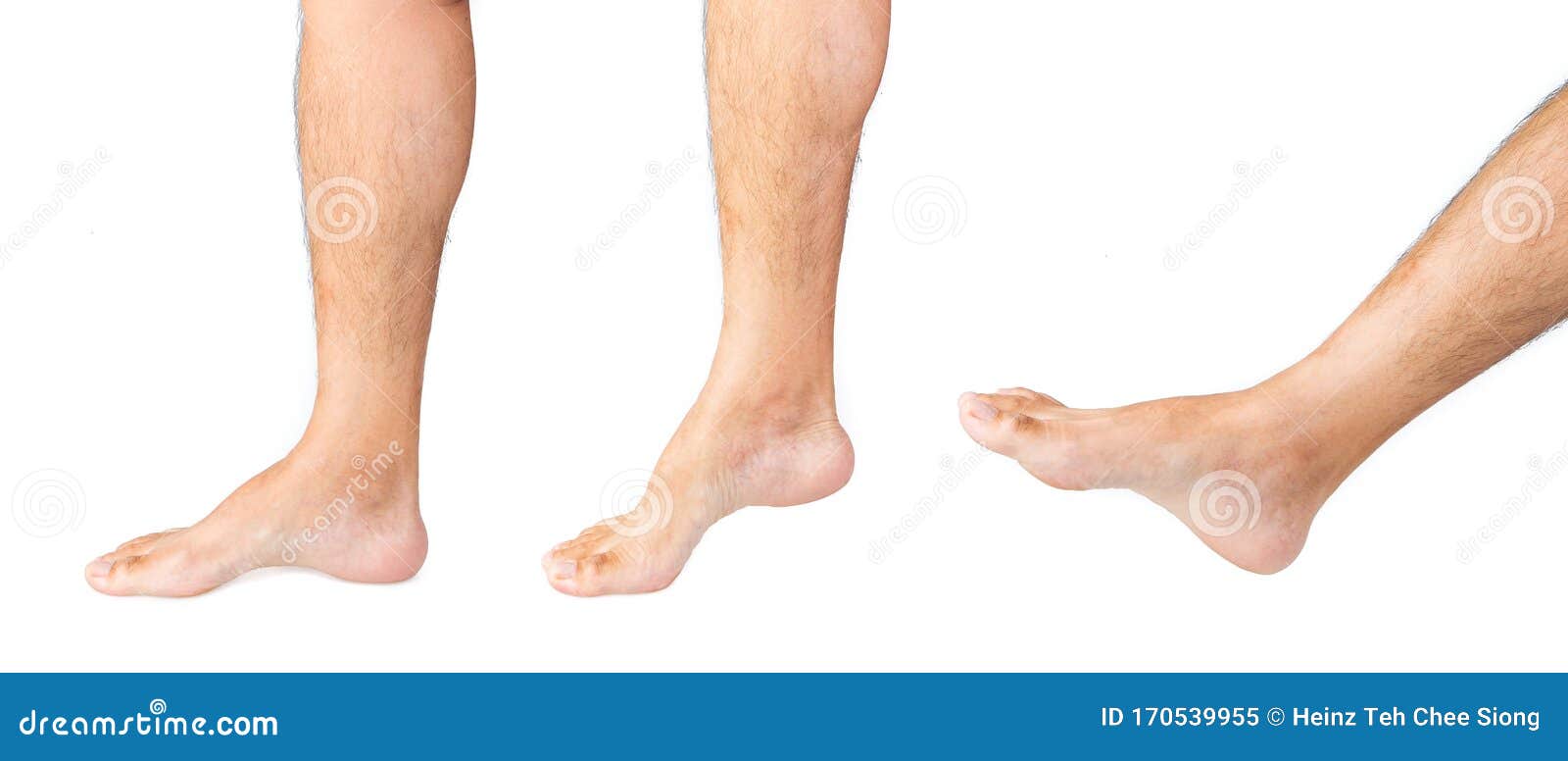 Man leg stock image. Image of joint, ankle, pedicure - 170539955