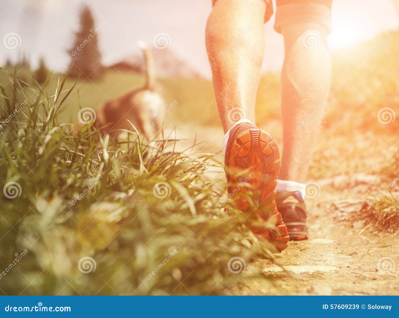 Man Legs on the Mountain Footpath Close Up Image Stock Image - Image of ...