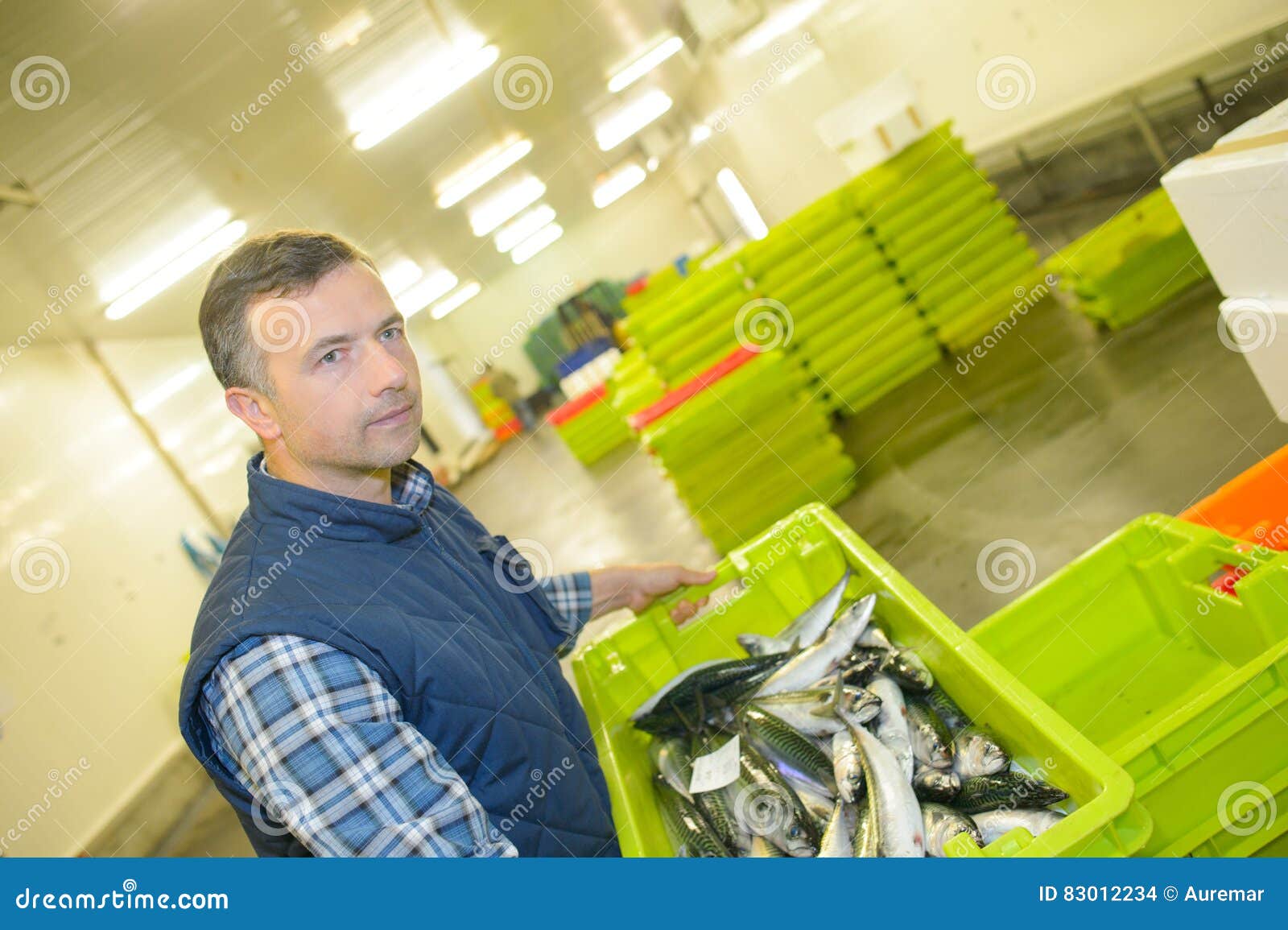 Man Lifting Crate Full Fish Stock Photo - Image of canning, healthy ...