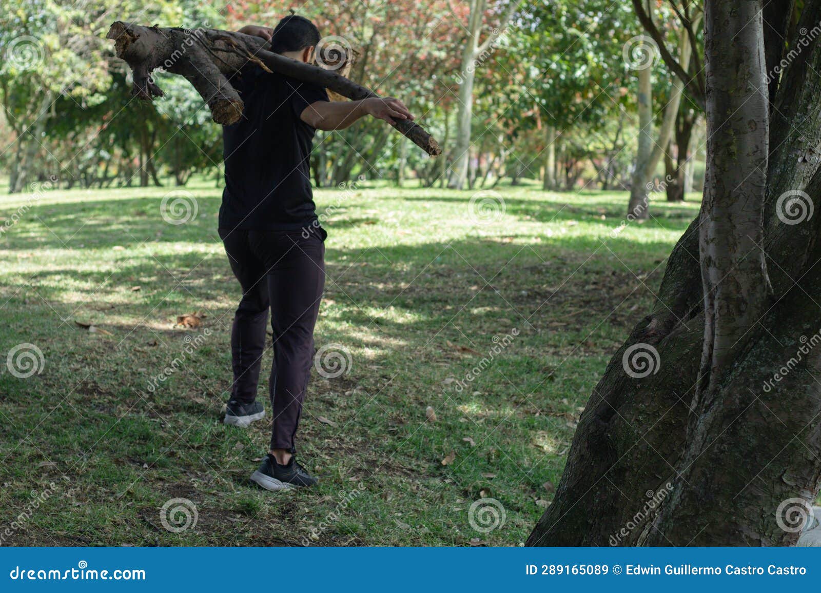 Young Man Lifting a Tree Trunk in a Forest. Lumberjack Cutting a Tree ...