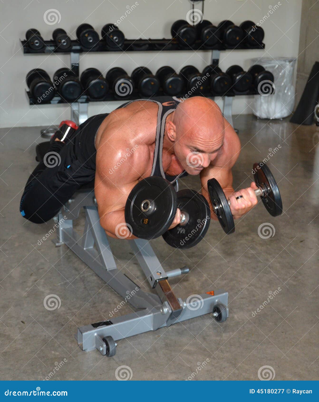 Man Lifting Weights stock image. Image of randi, triceps - 45180277