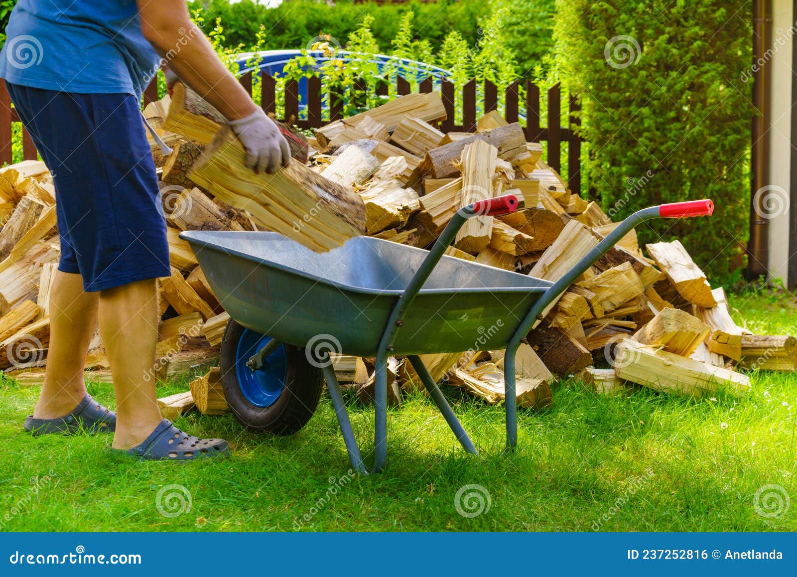Man Loading Firewood on Wheelbarrow Stock Photo - Image of wood, wooden ...