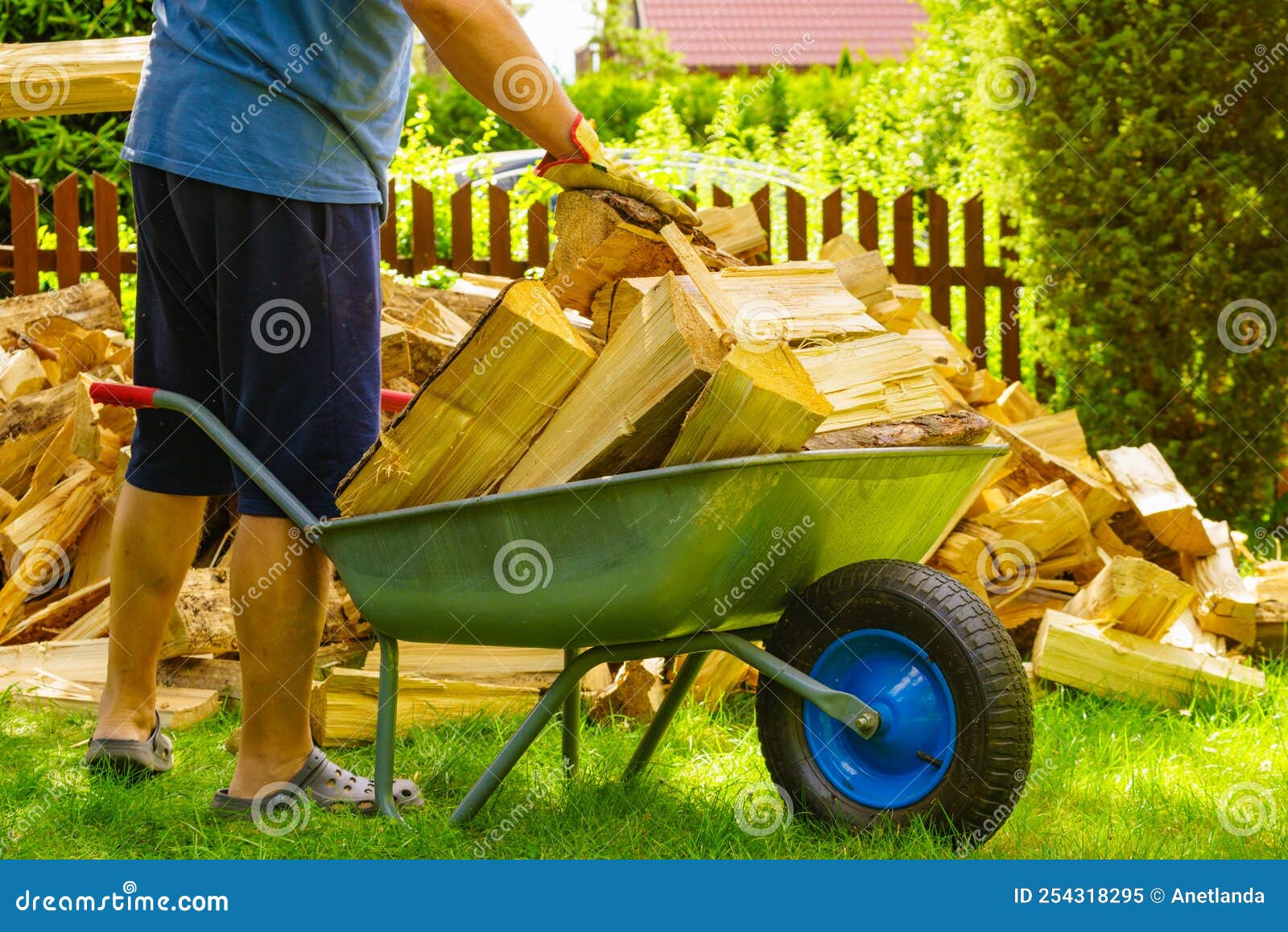 Man Loading Firewood on Wheelbarrow Stock Image - Image of firewood ...