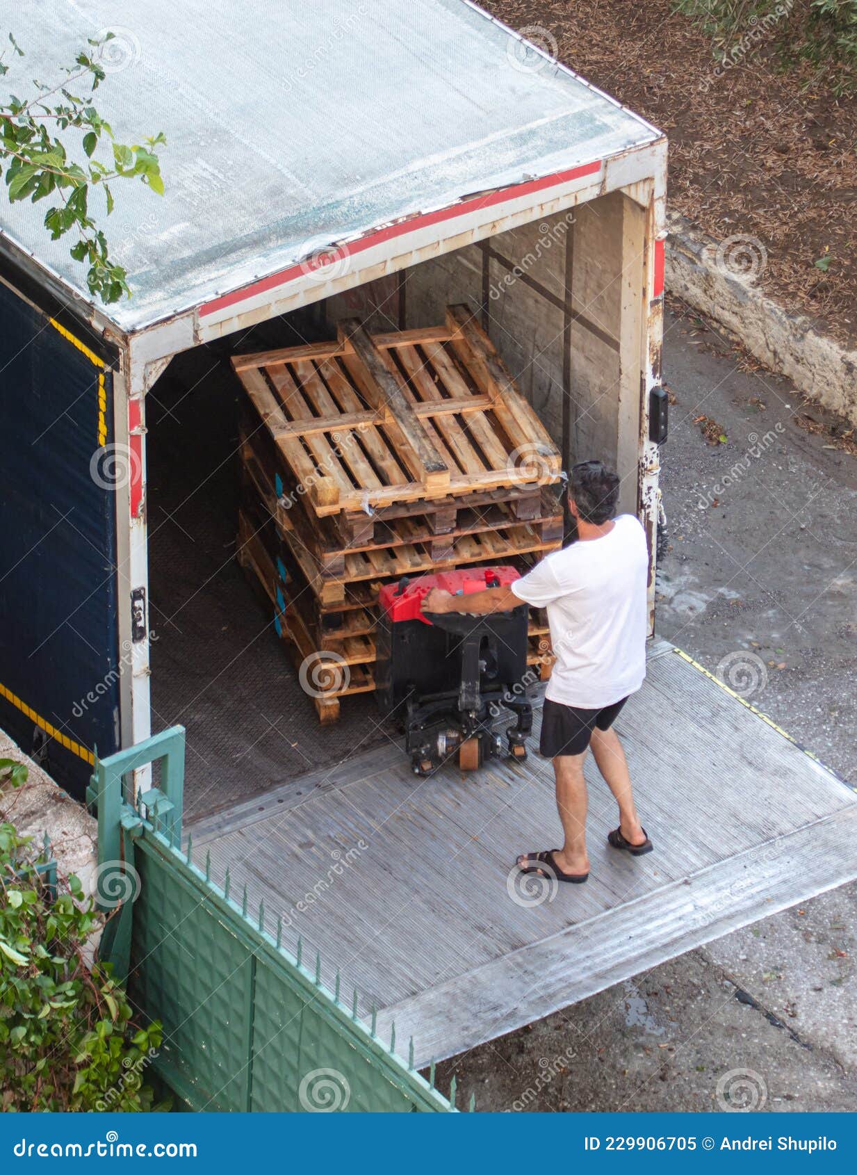 A Man is Loading Goods into Truck. Editorial Image - Image of delivery ...