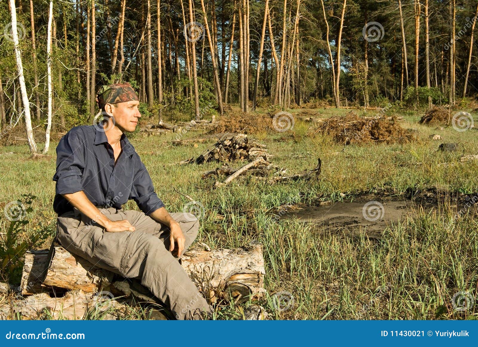 Man on a log stock image. Image of quiet, dusk, park - 11430021