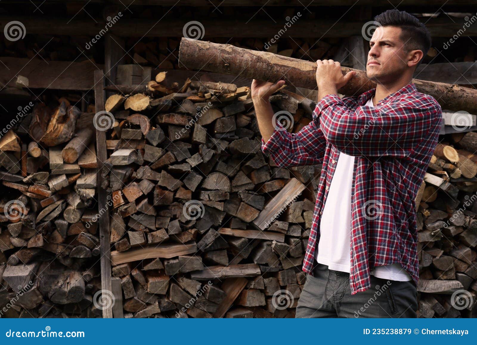 Man with Log Near Wood Pile Outdoors Stock Image - Image of pile ...