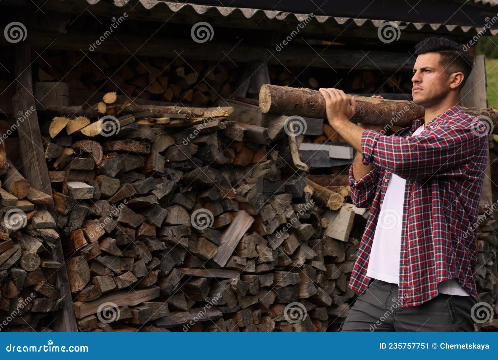 Man with Log Near Wood Pile Outdoors Stock Image - Image of male ...