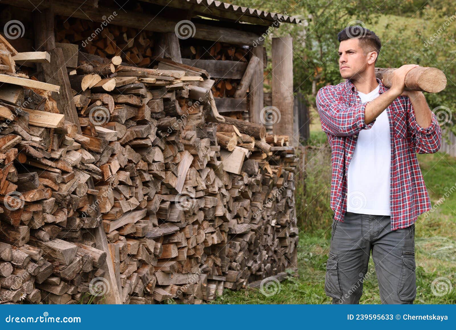 Man with Log Near Wood Pile Outdoors Stock Image - Image of countryside ...