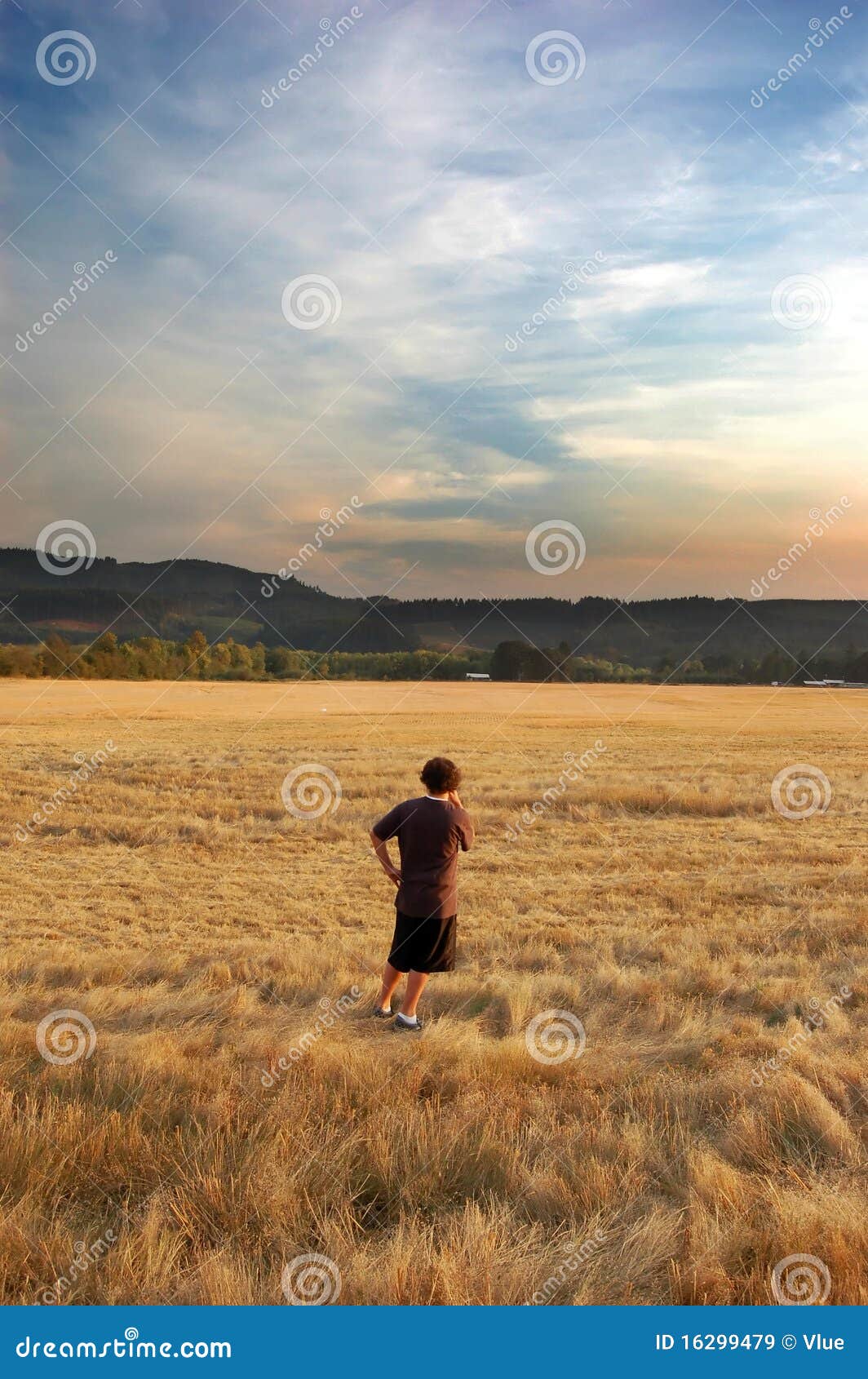 Man Looking at a Beautiful Field Stock Image - Image of landscape, crop ...