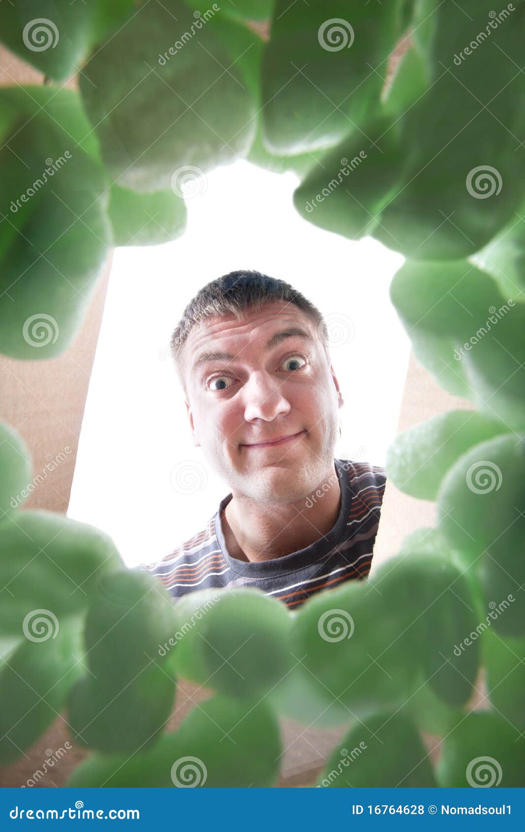 Man Looking into Cardboard Box Stock Photo - Image of lifestyles, adult ...