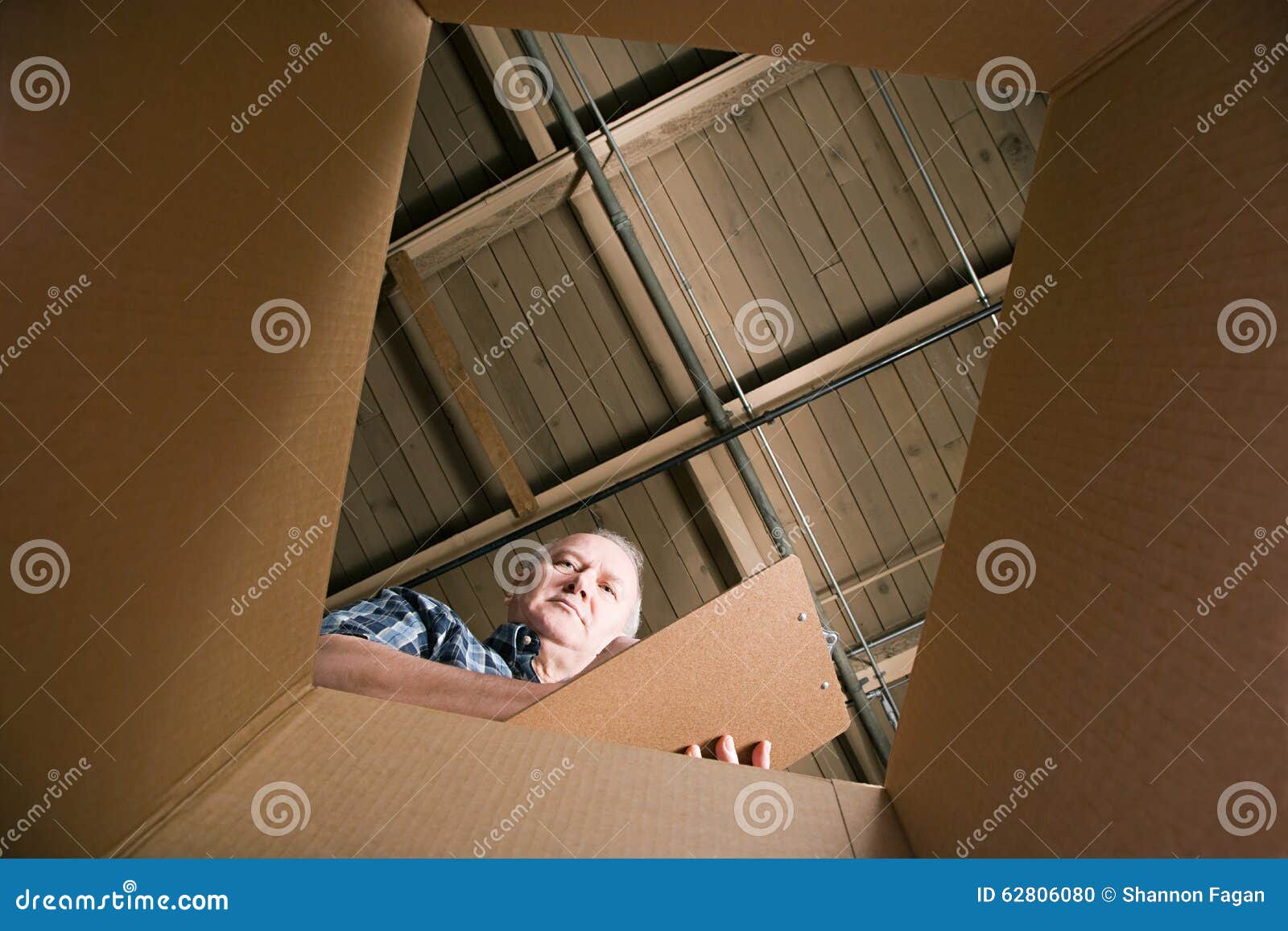 Man Looking in Cardboard Box Stock Photo - Image of checking, industry ...