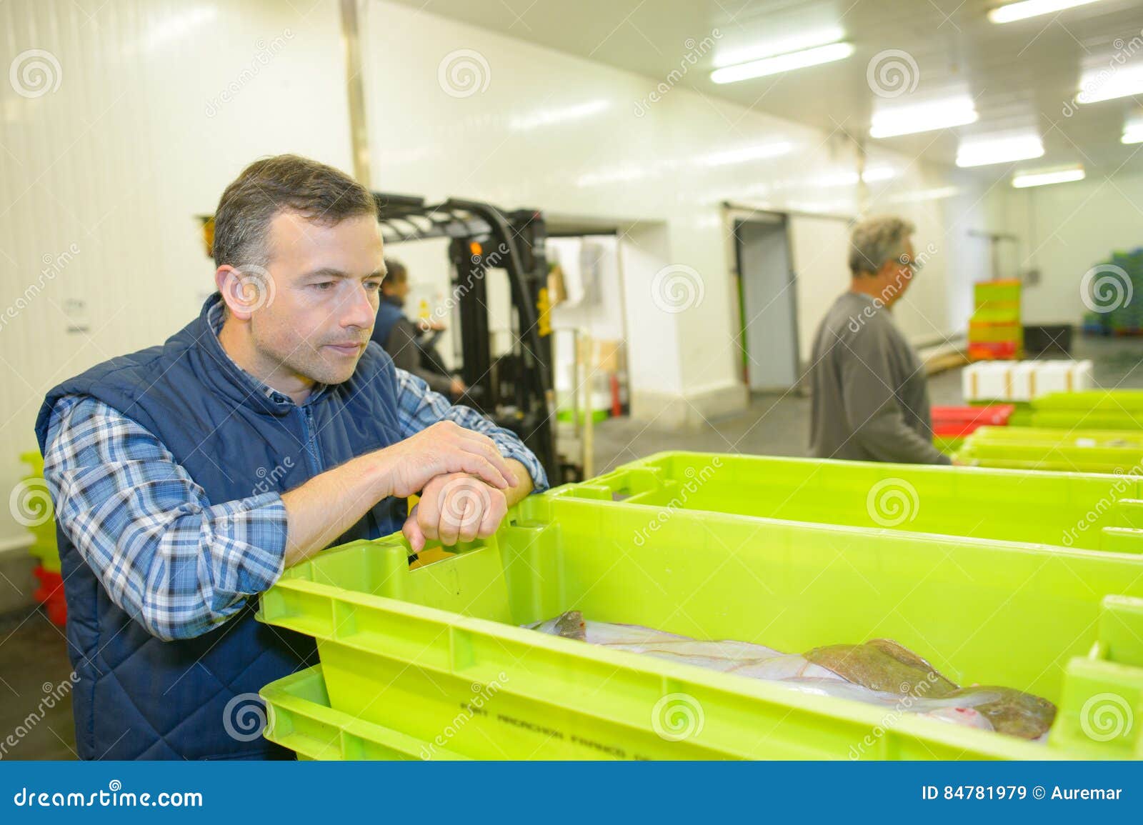 Man Looking Crate Fish Stock Photos - Free & Royalty-Free Stock Photos ...