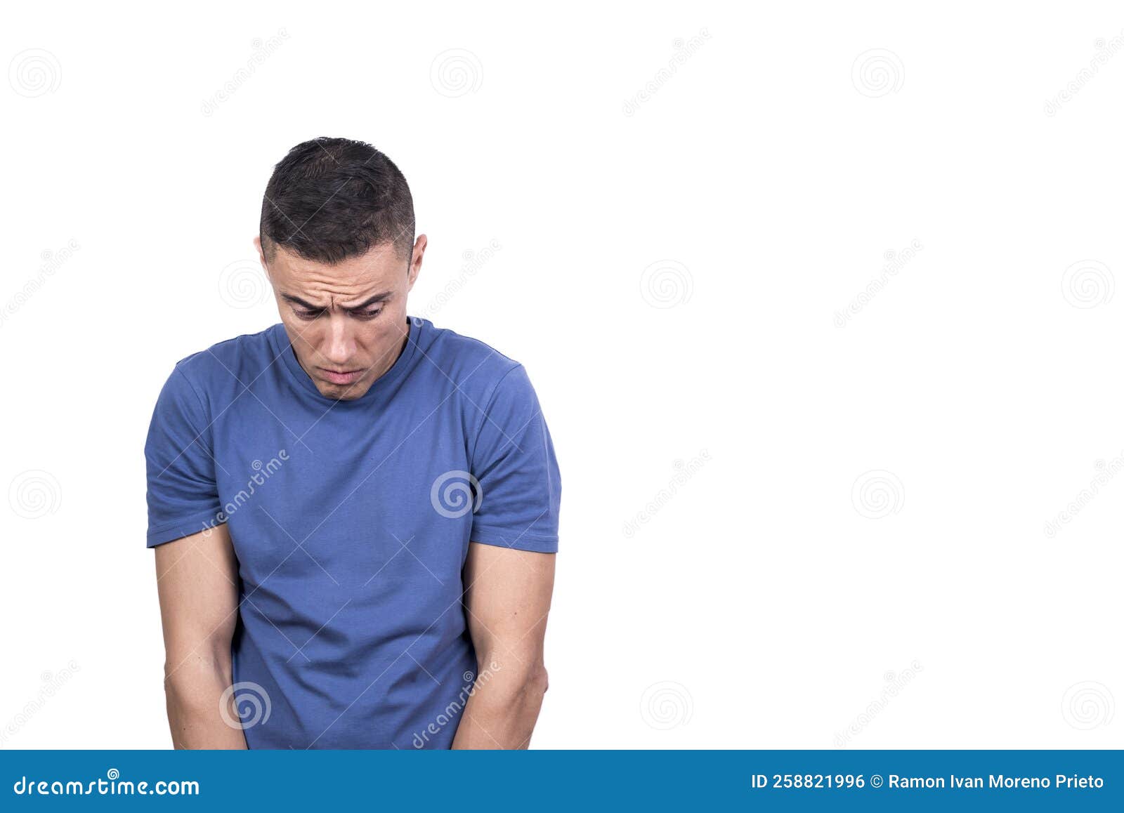 Cat Guilty Look, Green Leaf Plant Royalty-Free Stock Photography ...