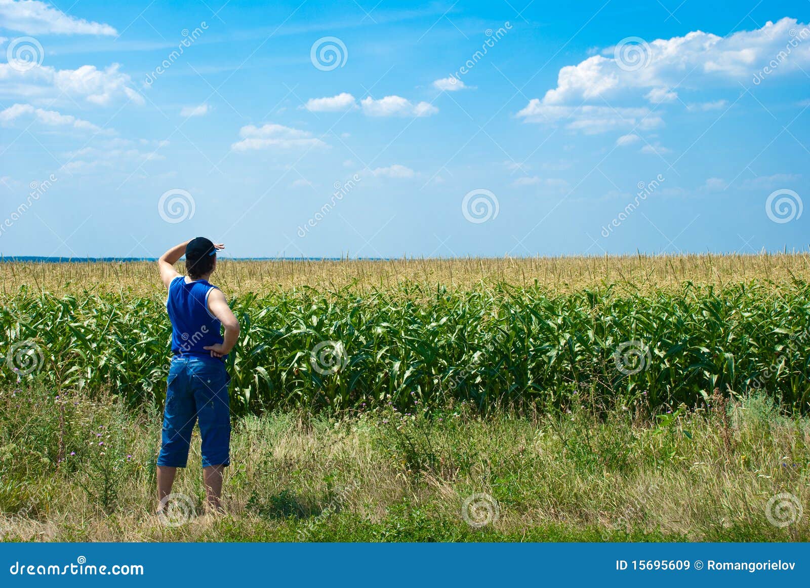 Man looking at the field stock image. Image of arms, green - 15695609