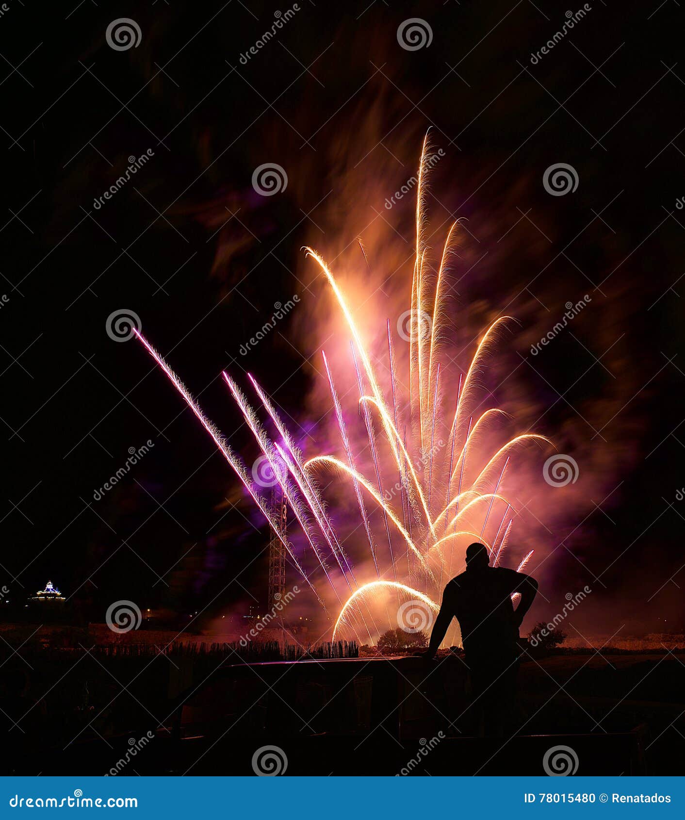 Man Looking Fireworks in New Year Evening. Nice Fireworks Explode Stock ...