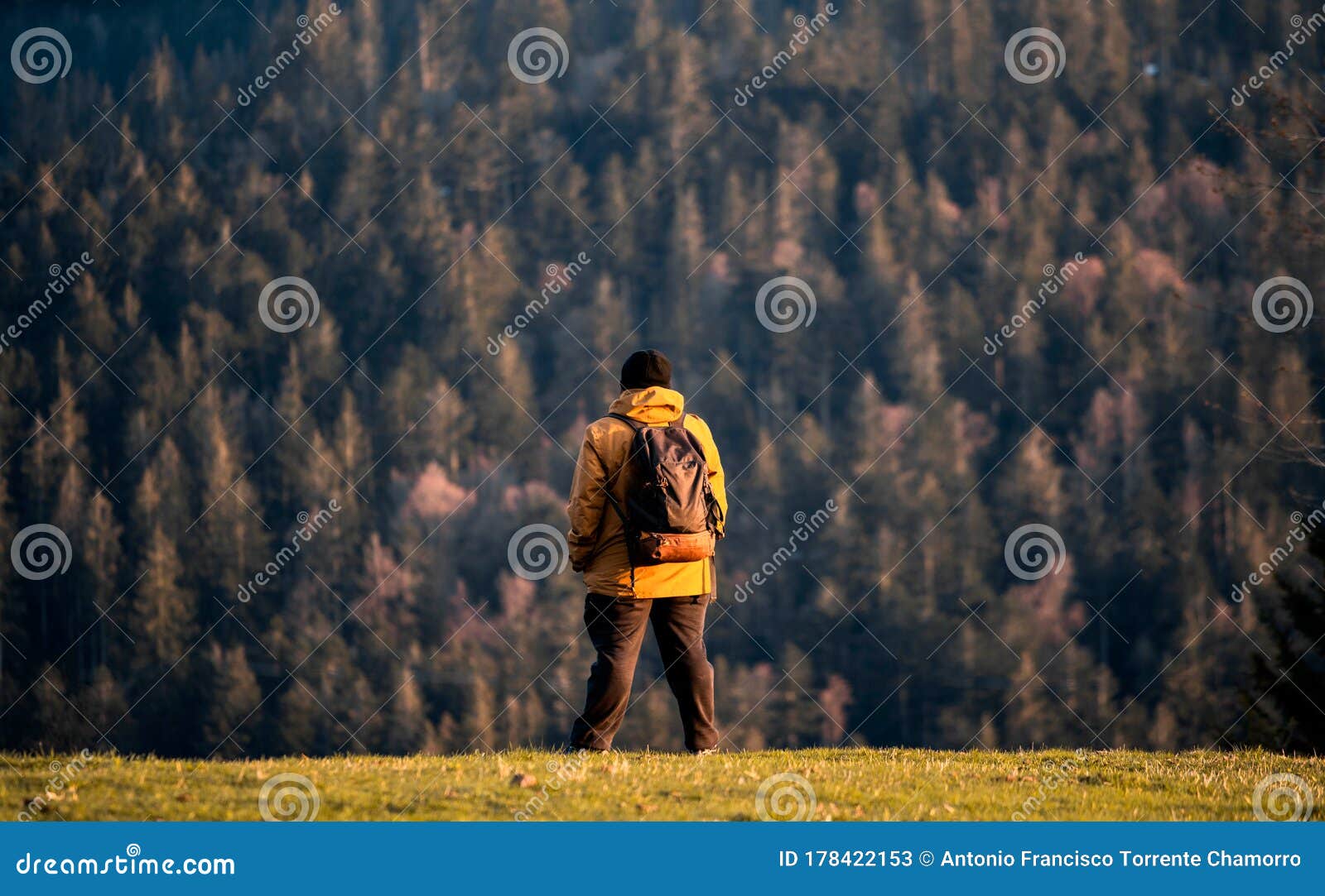 Man is Looking at the Forest in the Middle of the Mountain Stock Image ...
