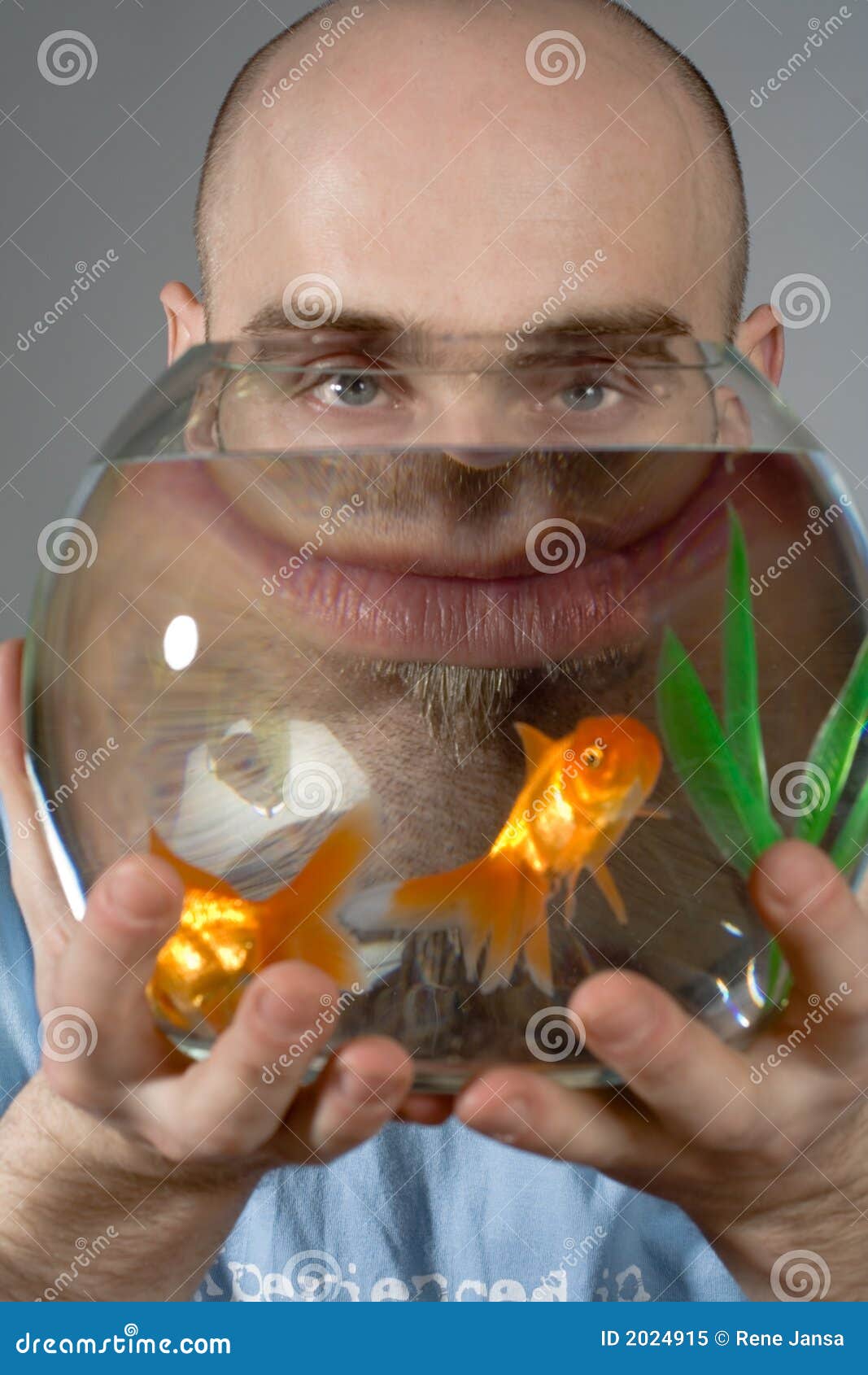 Man Looking through Goldfish Bowl Stock Image - Image of bowl, animal ...