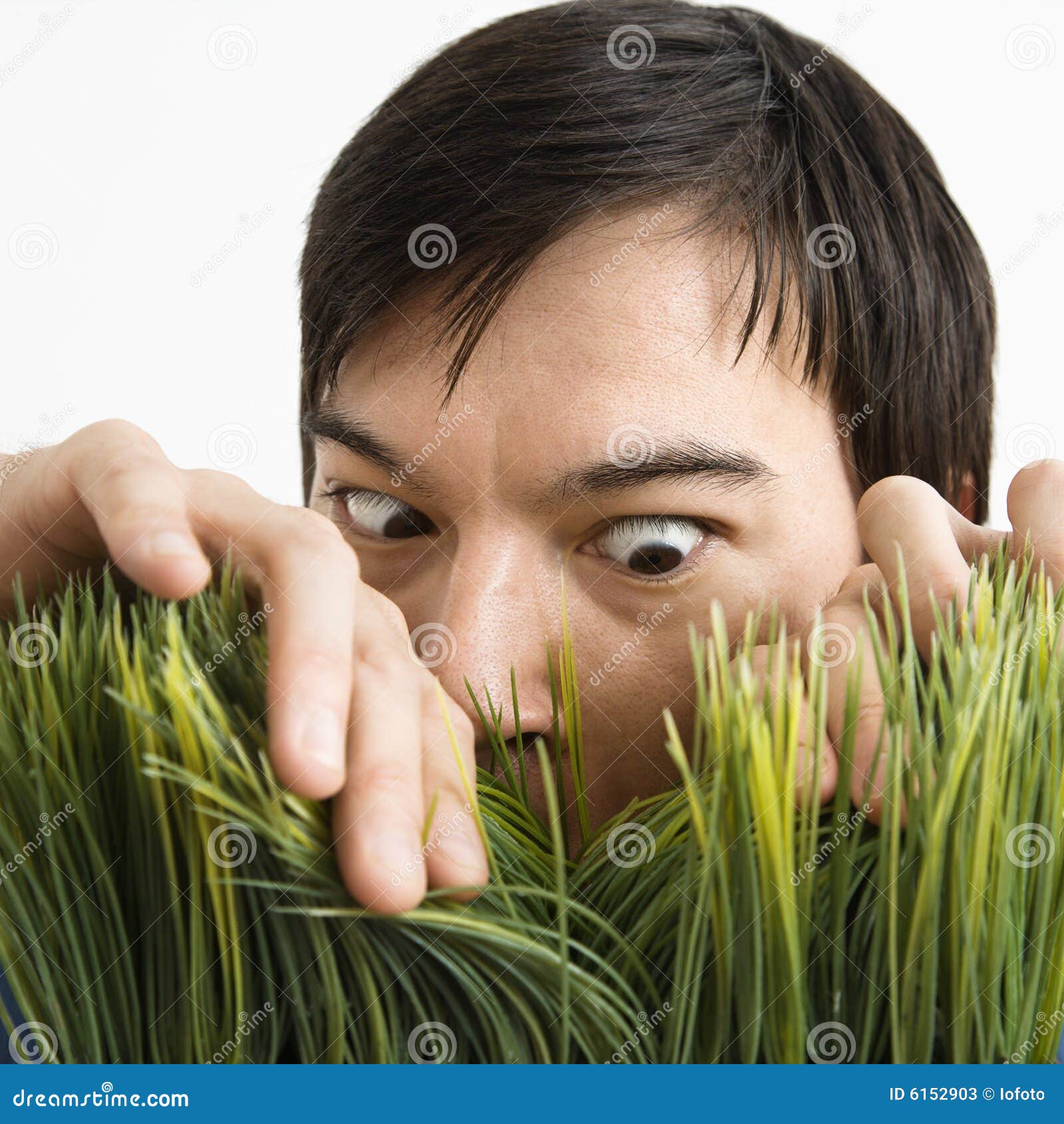 Man looking through grass. stock image. Image of people - 6152903