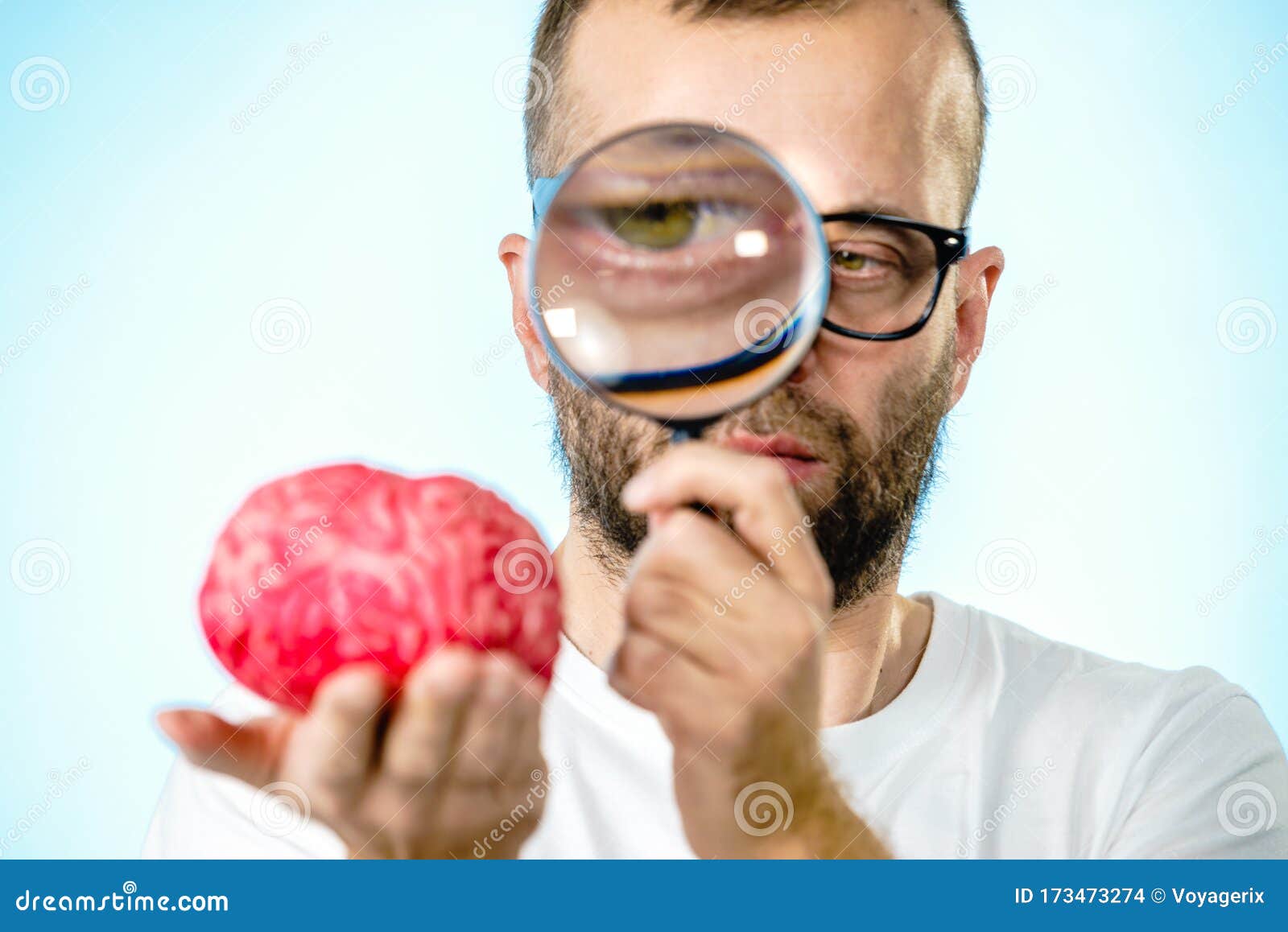 Man looking at human brain stock photo. Image of mind - 173473274
