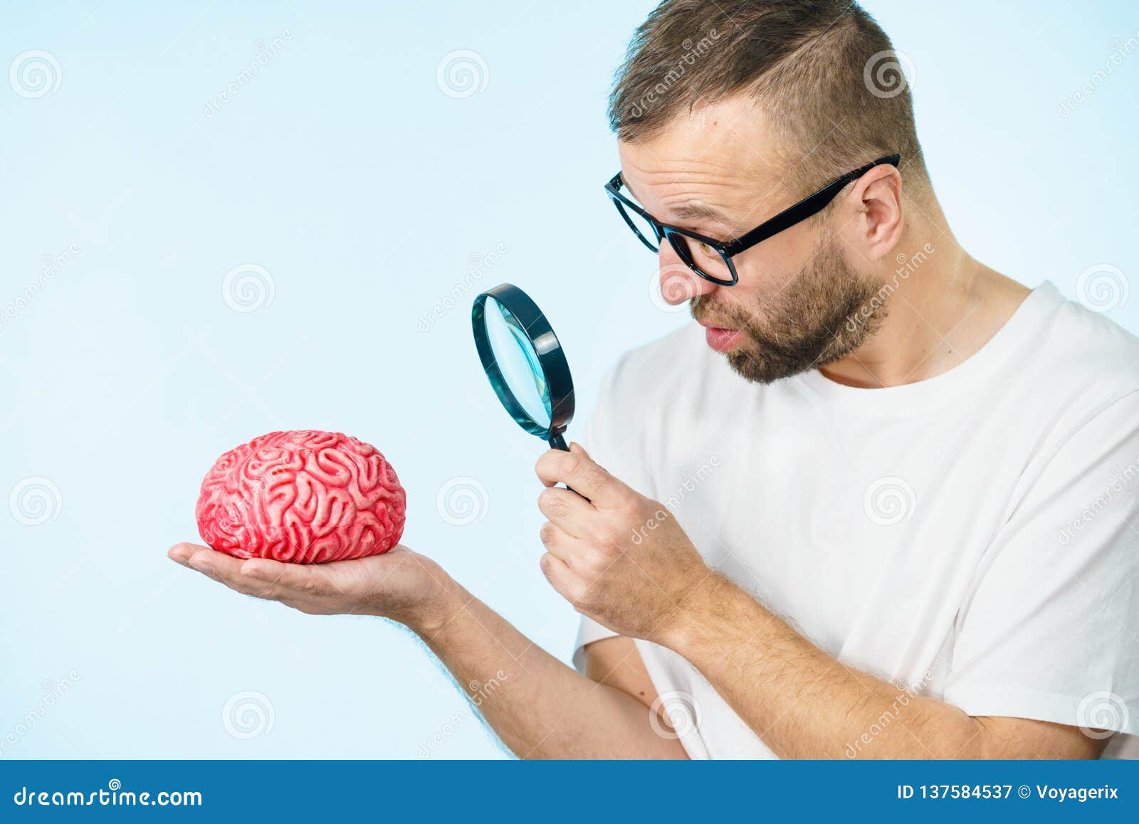 Man looking at human brain stock image. Image of mind - 137584537