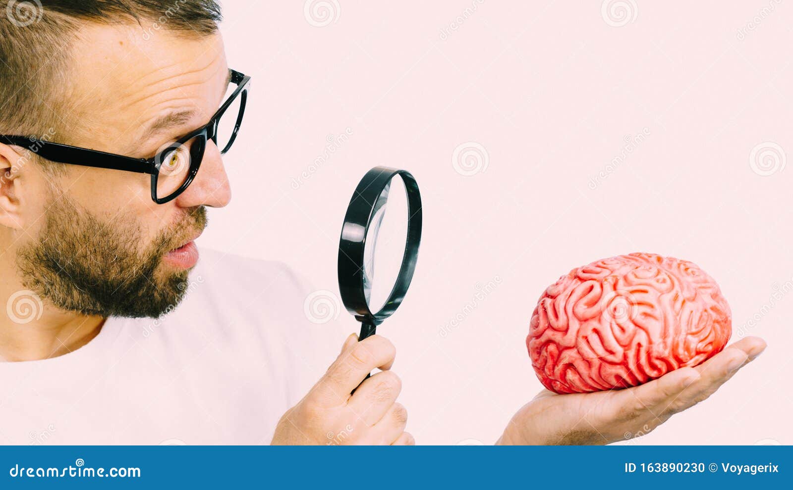 Man looking at human brain stock photo. Image of lifestyle - 163890230