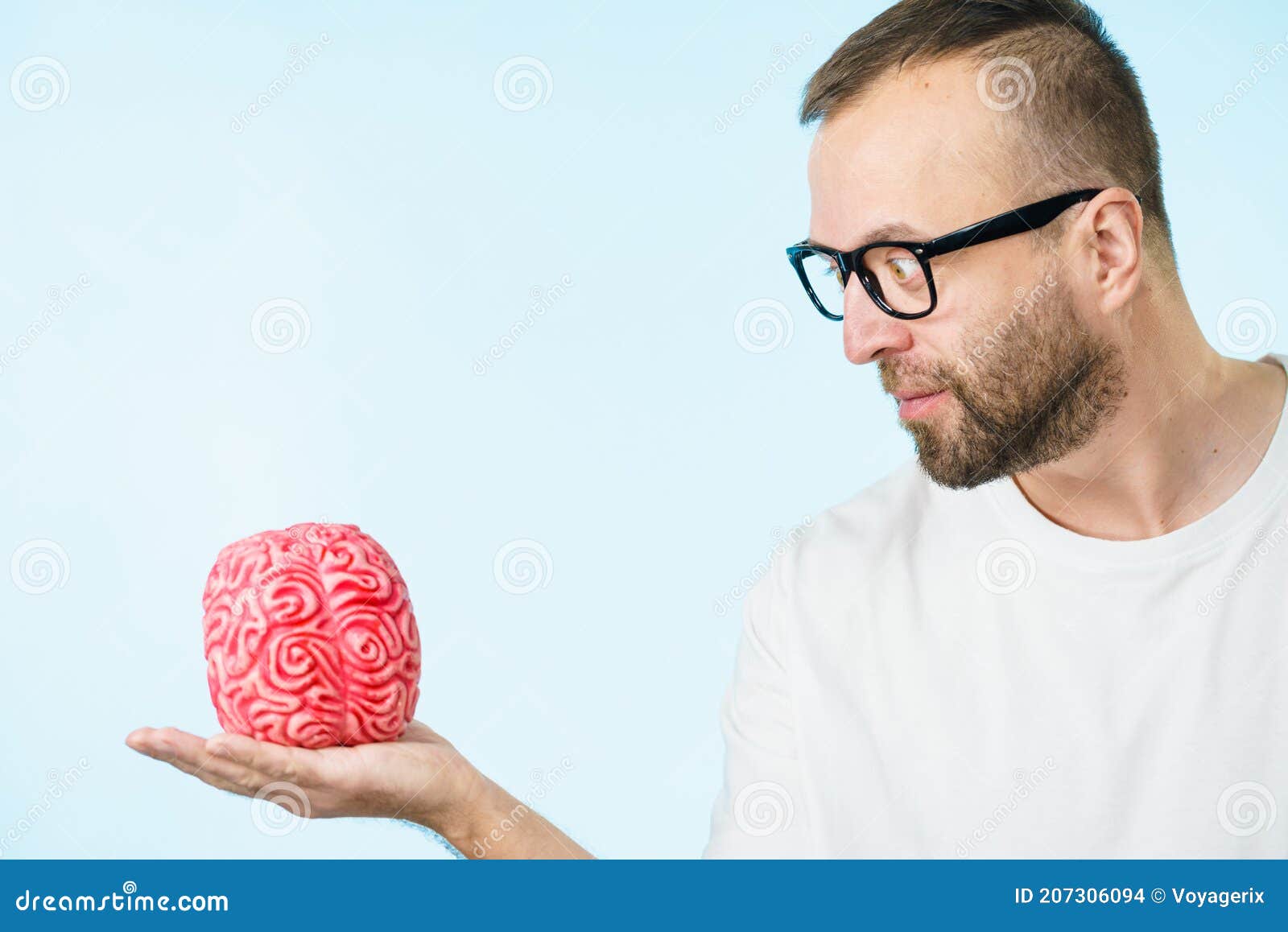 Man looking at human brain stock photo. Image of lifestyle - 207306094