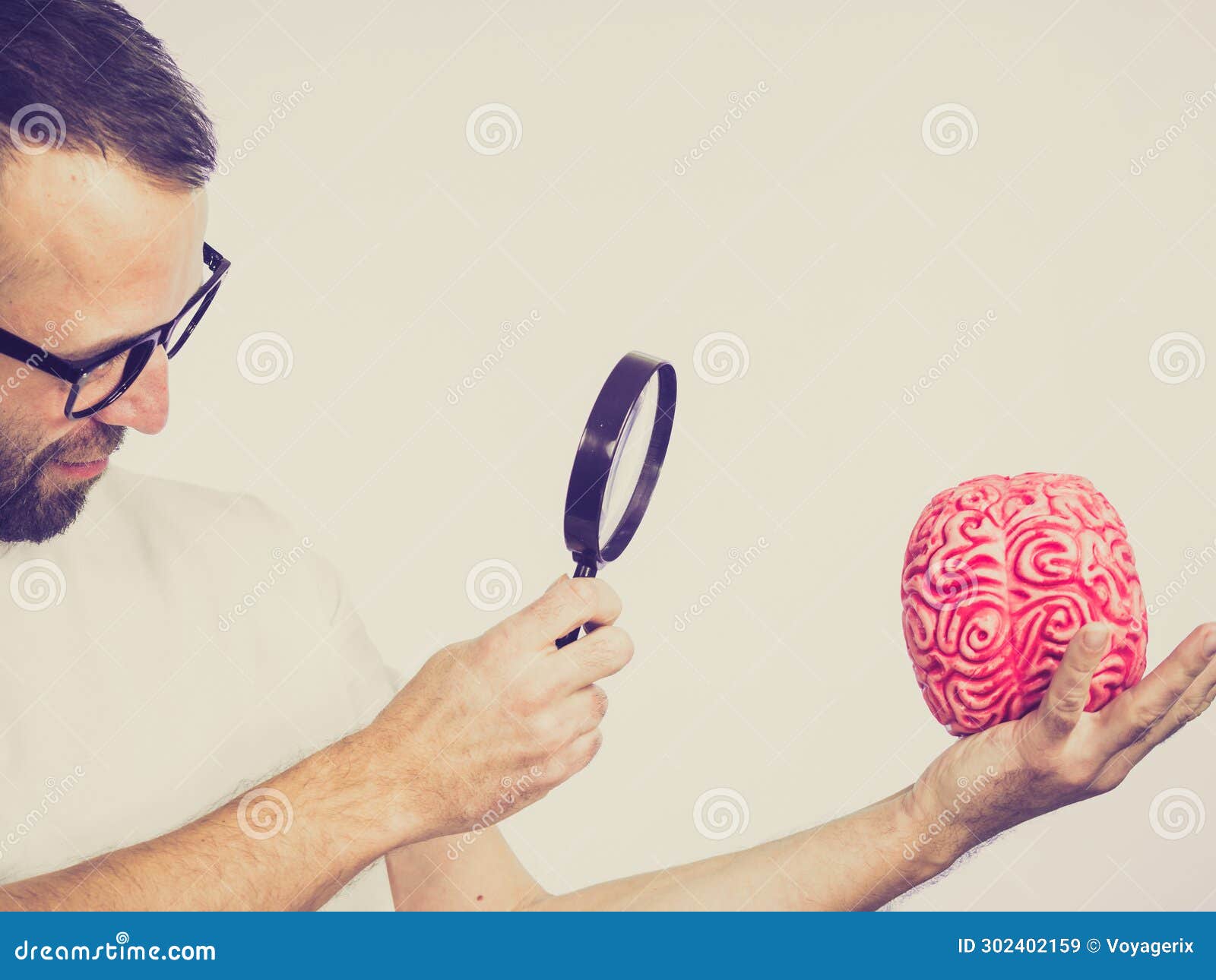 Man looking at human brain stock image. Image of intellect - 302402159