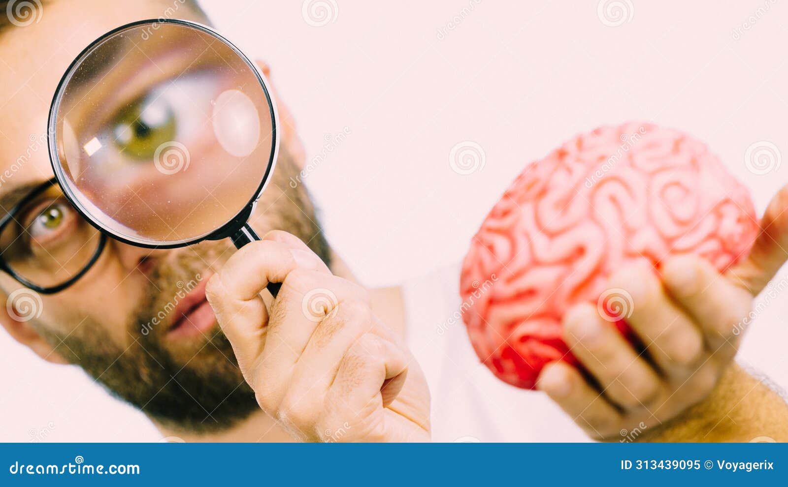 Man looking at human brain stock image. Image of magnifying - 313439095