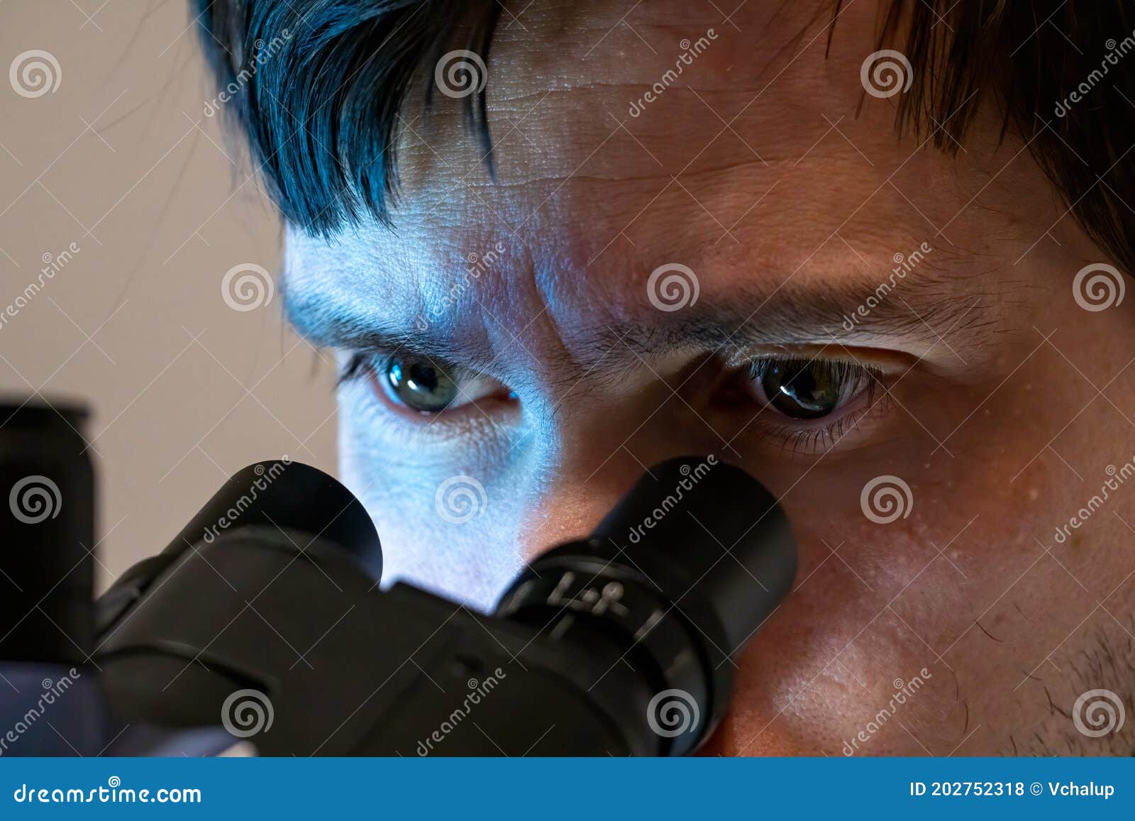 Inside Microscope View At Histology Glass Slide Stock Photo ...