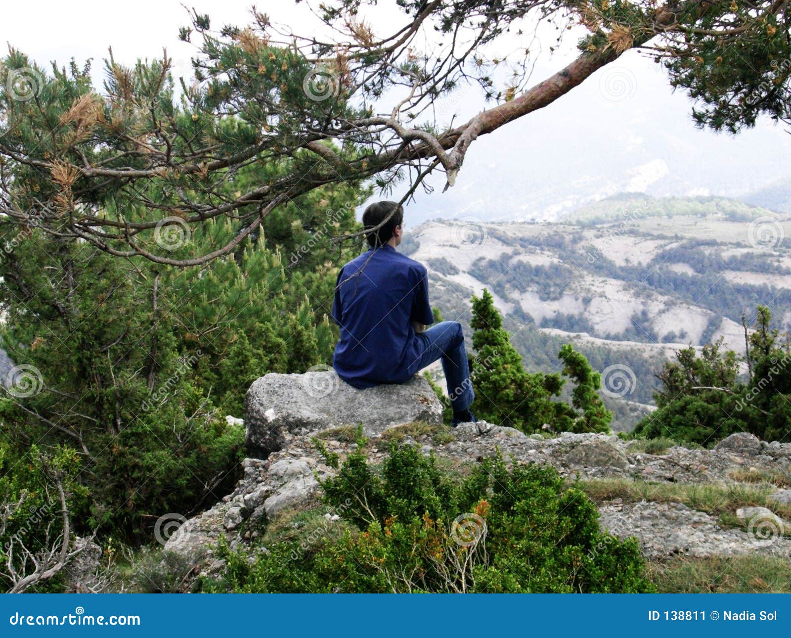The Man a Looking Mountain Landscape Stock Image - Image of tree ...