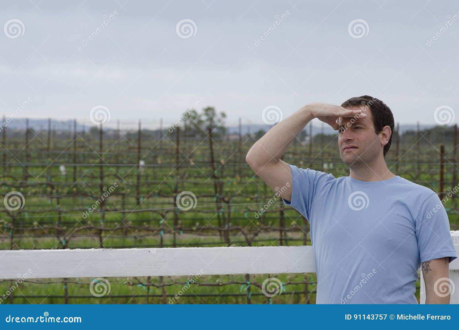 Man Looking Off into the Distance in a Vineyard. Stock Image - Image of ...