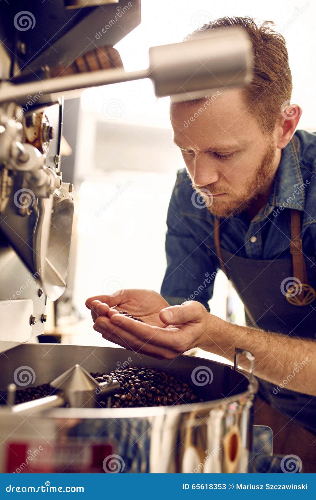 Man Looking at Roasted Coffee Beans from a Roasting Machine Stock Image ...