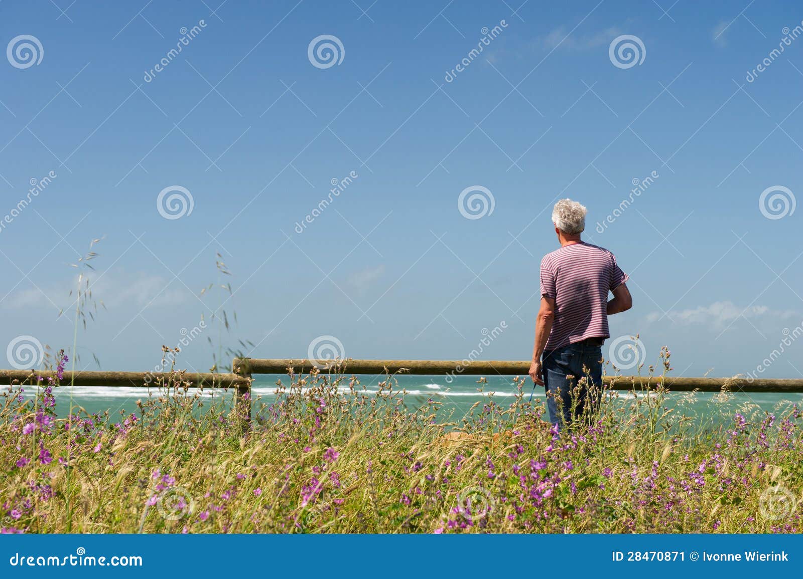 Man looking at the sea stock image. Image of senior, gray - 28470871
