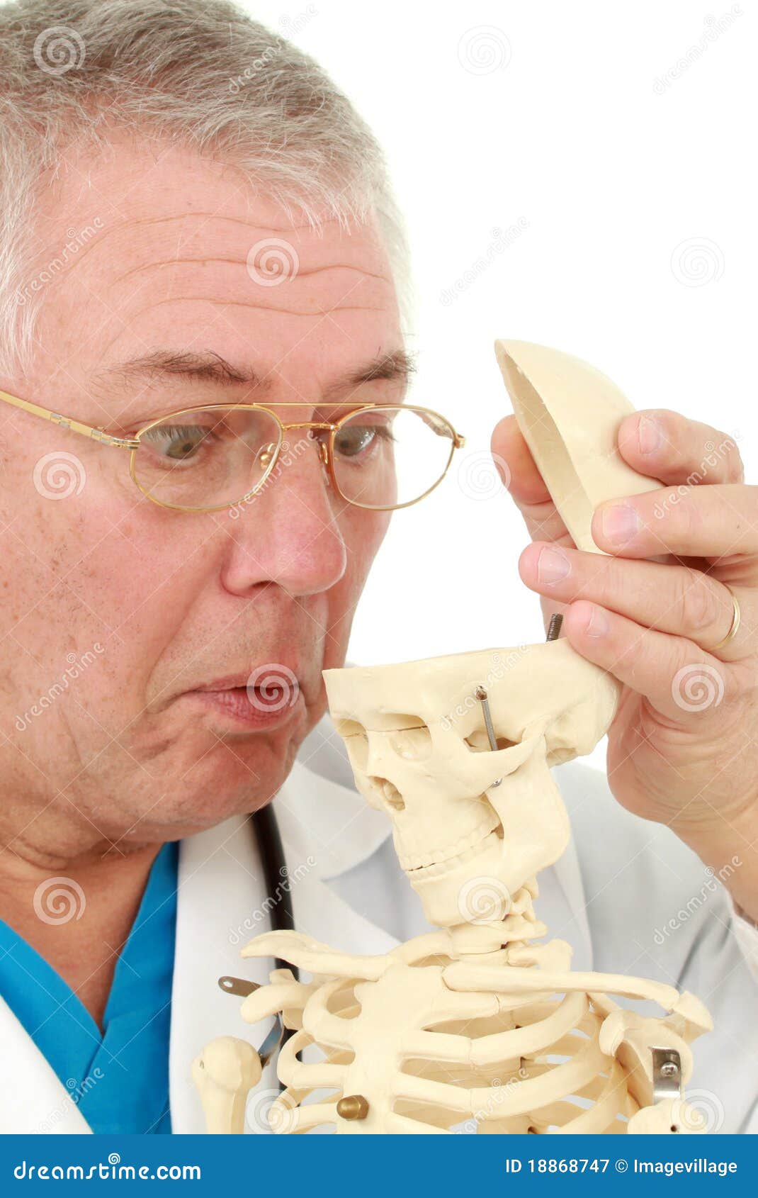 Man looking into the skull stock image. Image of cranium - 18868747