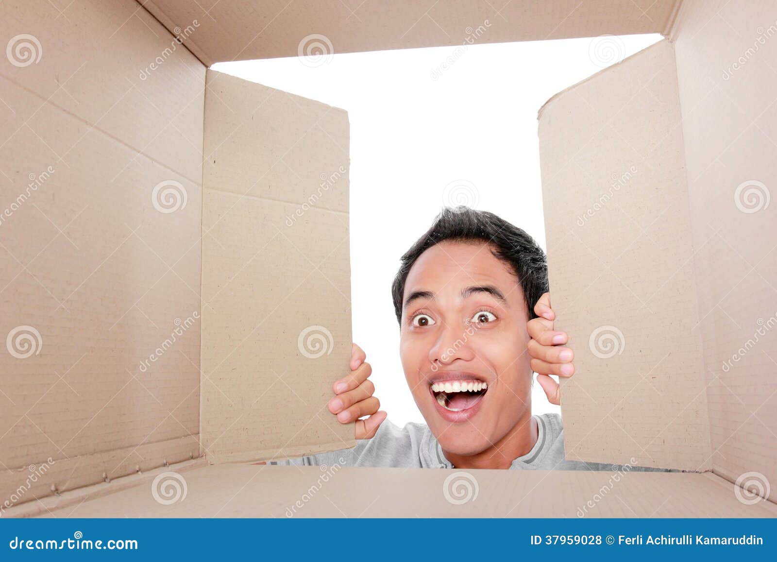 Man Looking for Something Inside Box Stock Photo - Image of looking ...