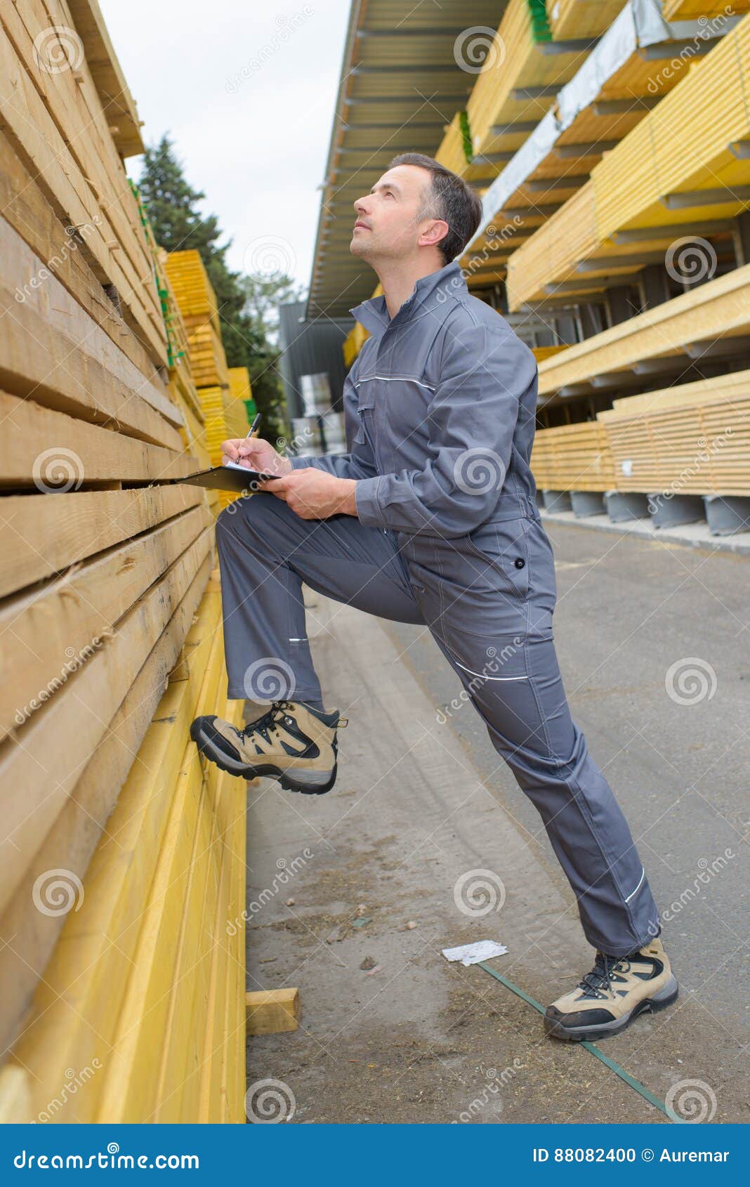 Man Looking at Stack Wood and Taking Notes Stock Photo - Image of ...