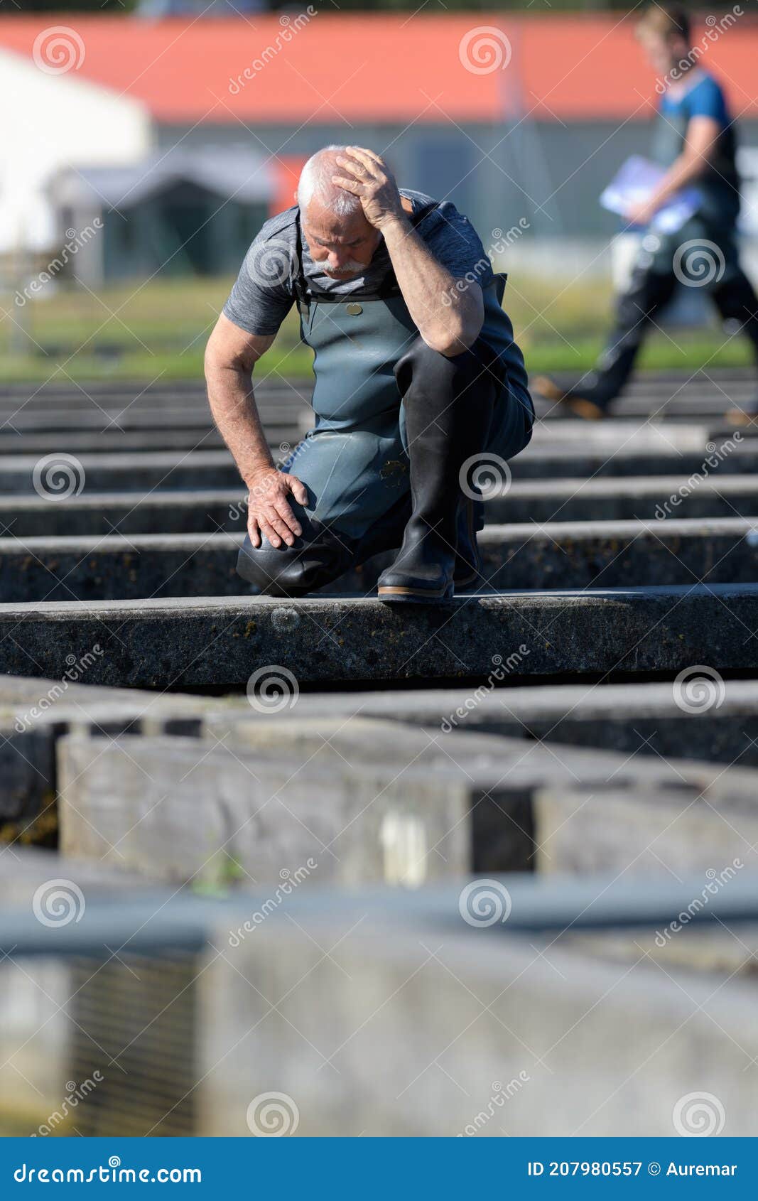 Man Looking into Tank on Industrial Fish Farm Stock Image - Image of ...