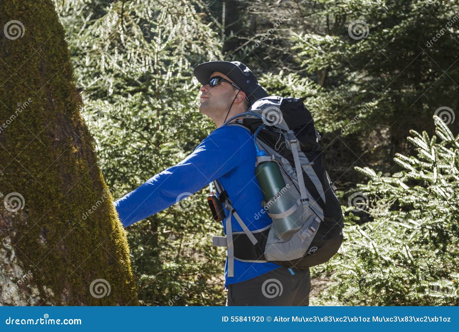 Man Looking at Tree in the Forest Stock Photo - Image of looking, green ...