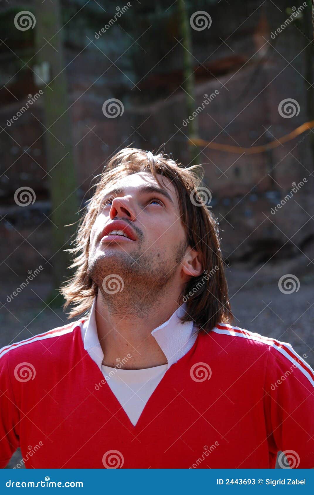Man looking upwards stock image. Image of climber, calculating - 2443693