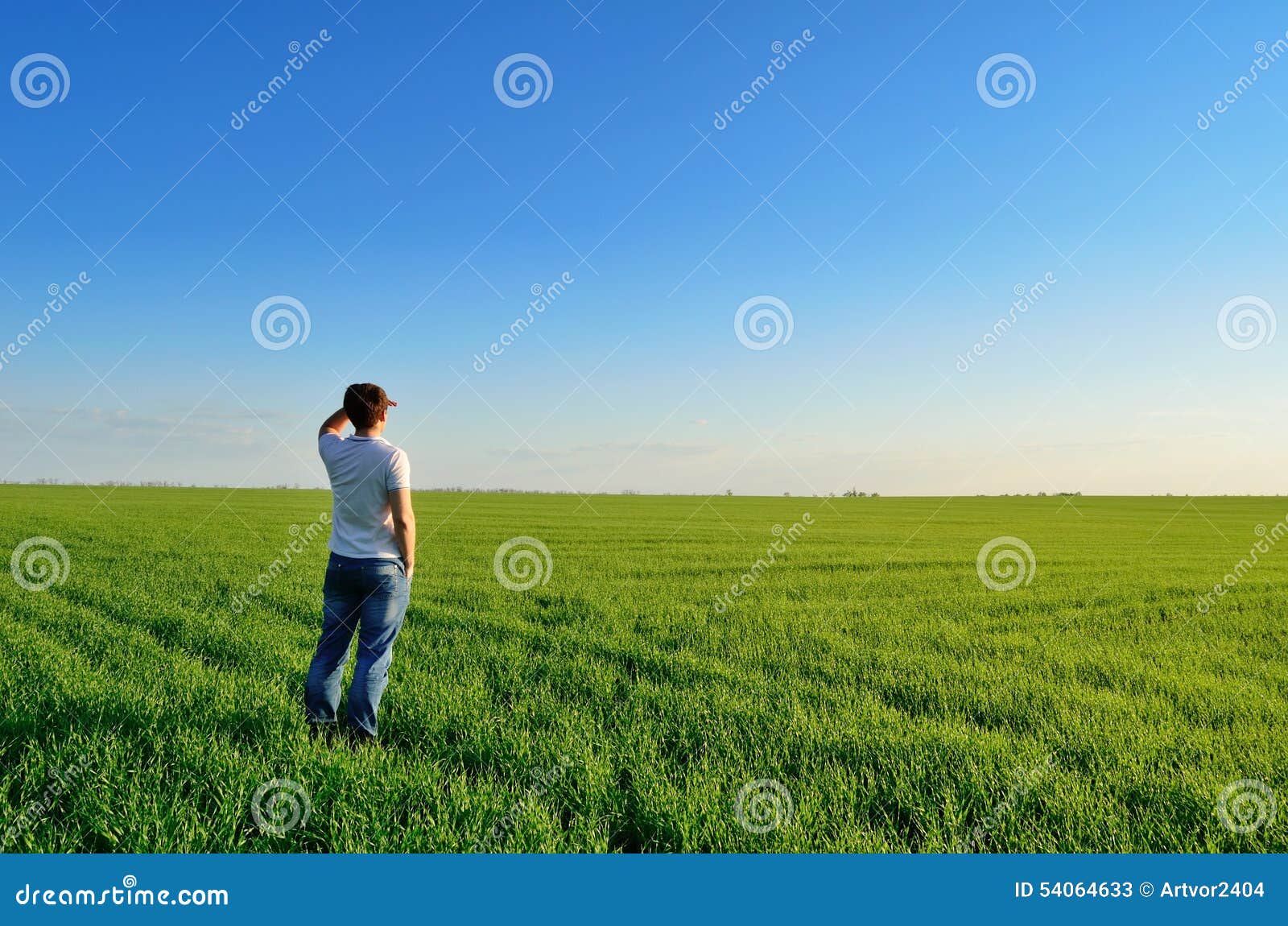 Man Looks into the Distance on the Field Stock Image - Image of vibrant ...
